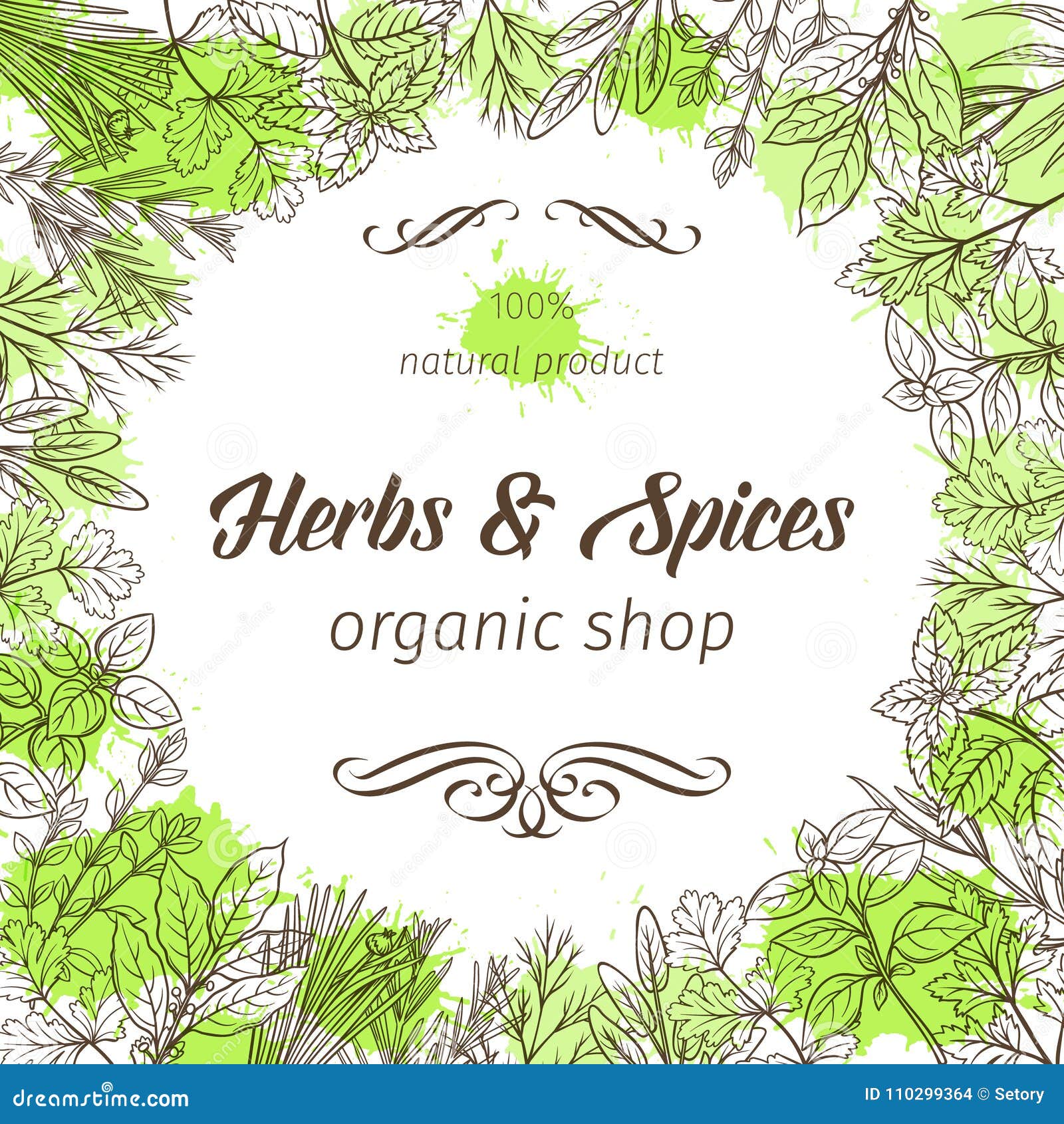 Hand Drawn Sketch Herbs and Spices Stock Vector - Illustration of dill ... Hand Drawn Sketch Herbs and Spices Stock Vector - Illustration of dill ...