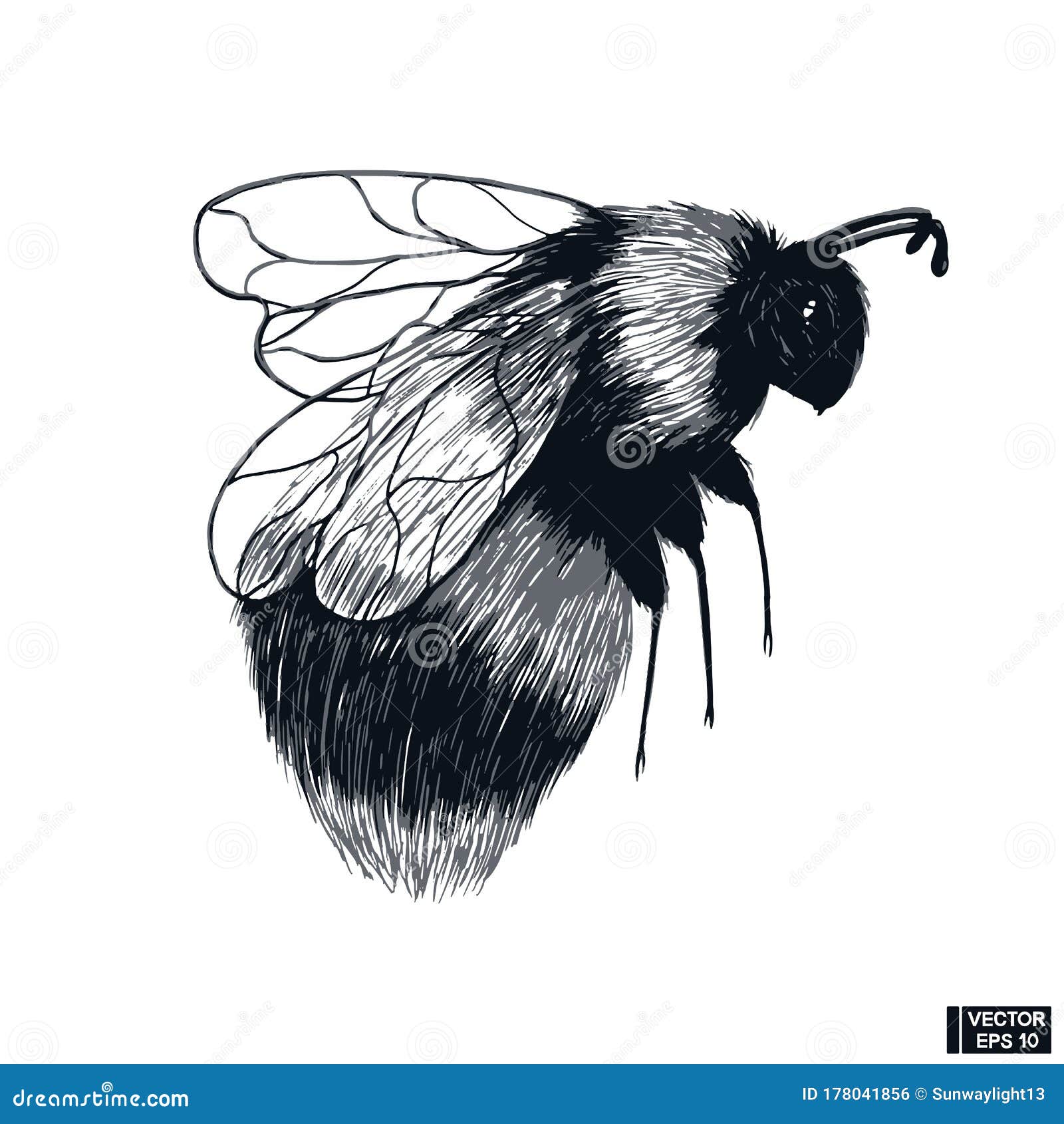Bumblebee In Flight, Vector Illustration On Black Background. Hand ...