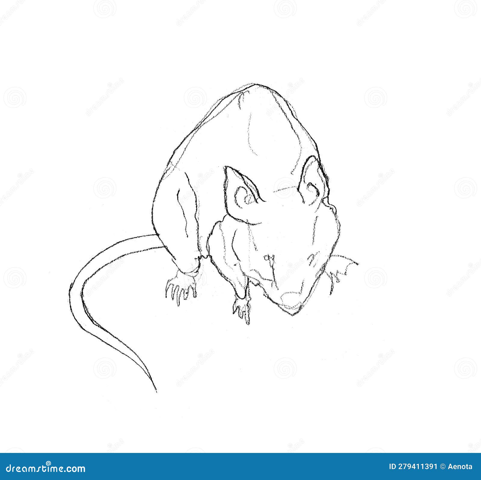 Hand drawn sketch of rat stock illustration. Illustration of animal ...