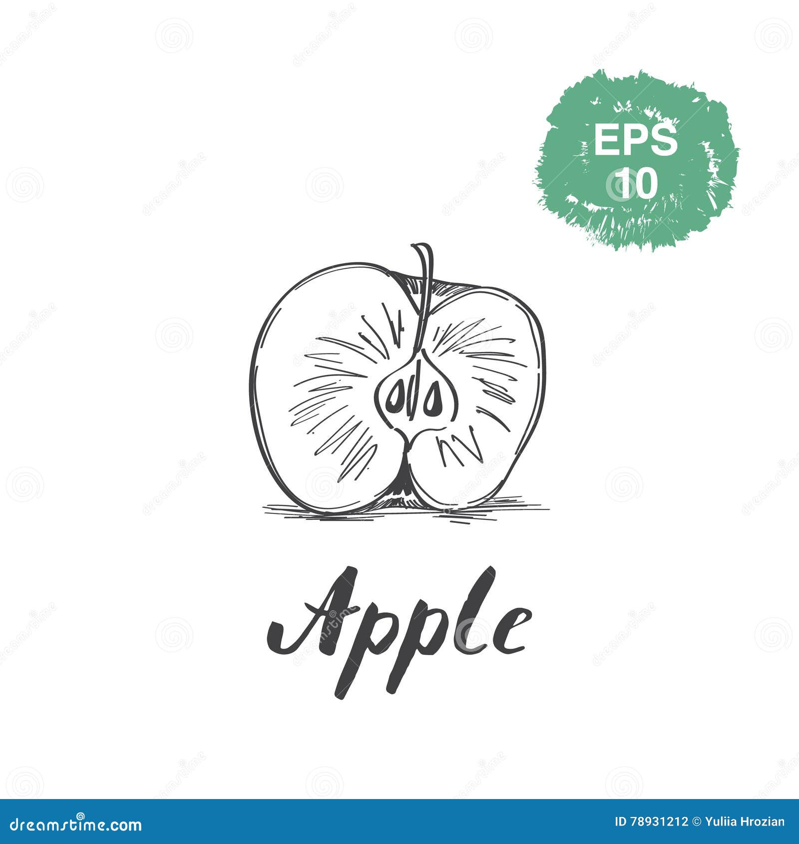 Hand Drawn Sketch of Sliced Apple Stock Vector - Illustration of hand ...