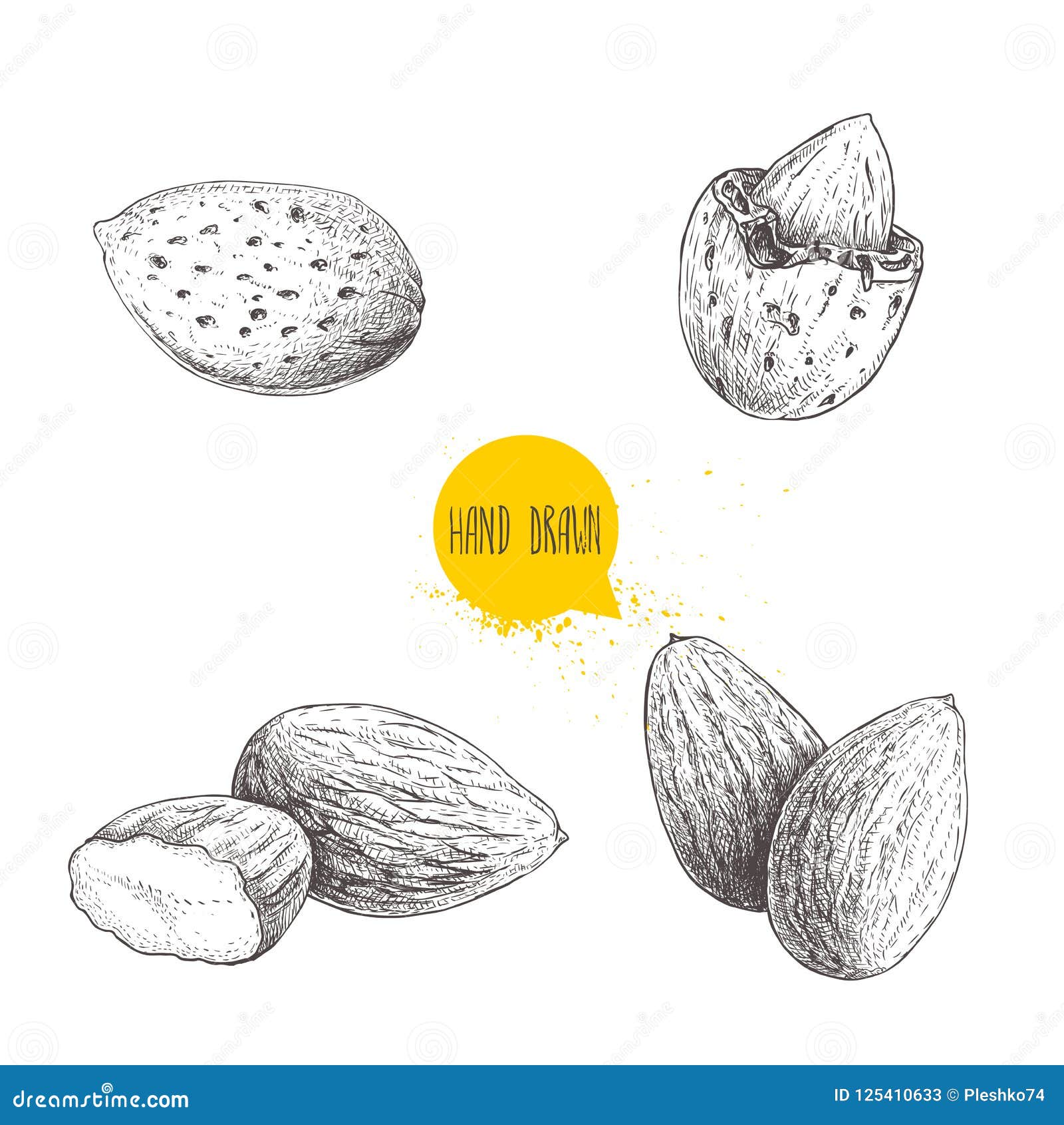Hand Drawn Sketch Style Almond Set. Single, Group Seeds And Almond In ... Hand Drawn Sketch Style Almond Set. Single, Group Seeds And Almond In ...