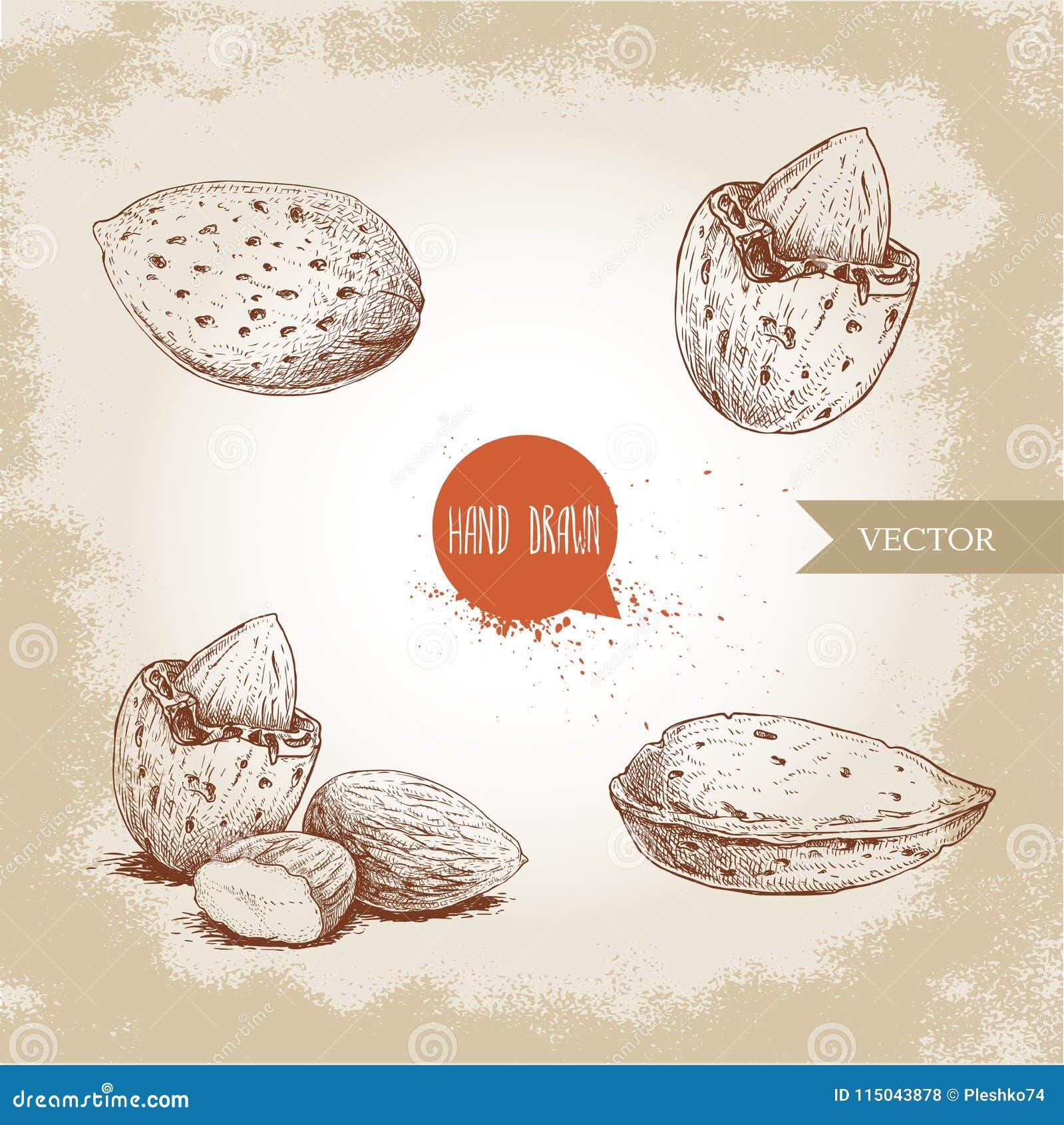 Hand Drawn Sketch Style Almond Set. Single, Group Seeds And Almond In ... Hand Drawn Sketch Style Almond Set. Single, Group Seeds And Almond In ...