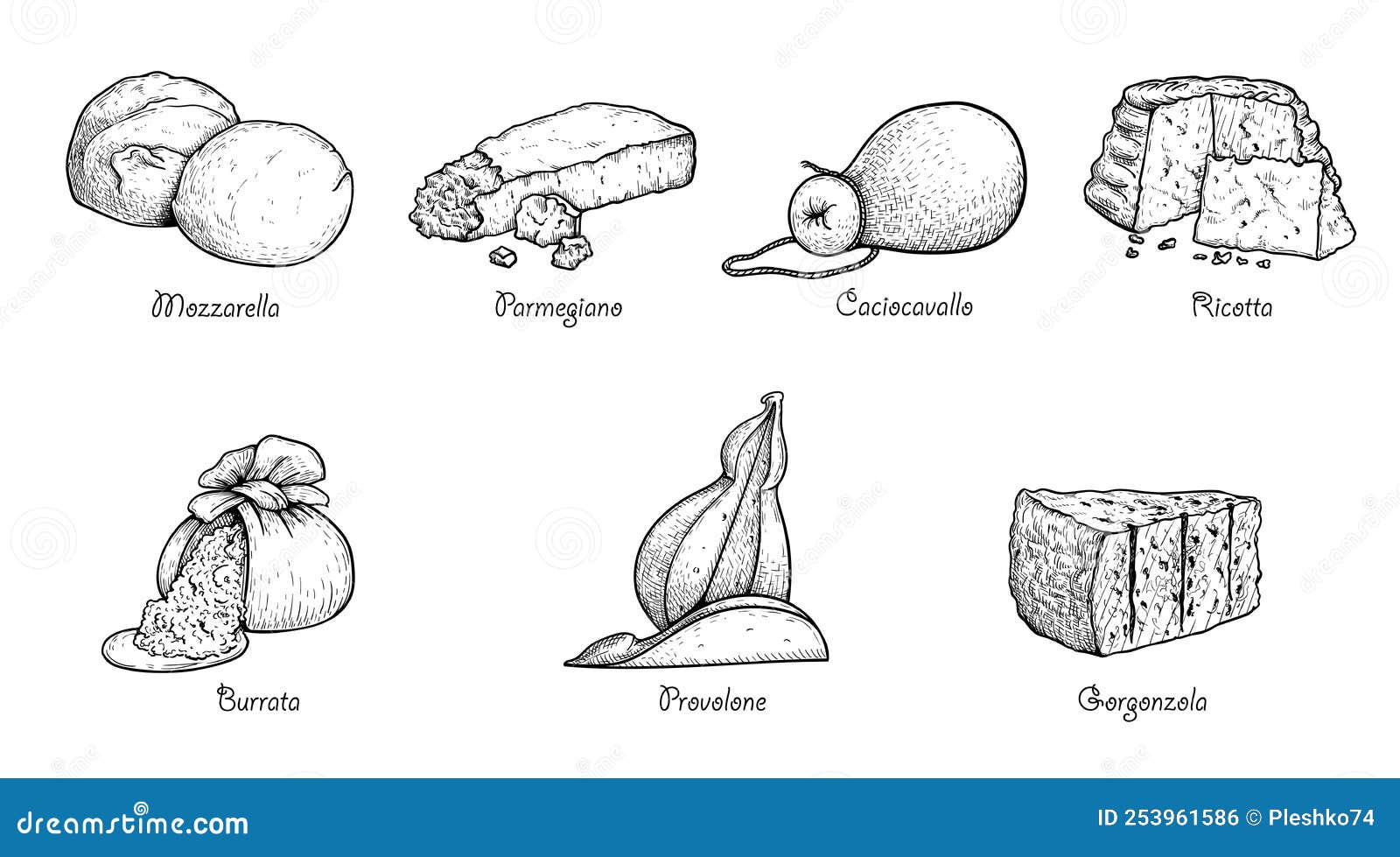 Hand Drawn Sketch Style Cheese Set Traditional Itailan Cheese
