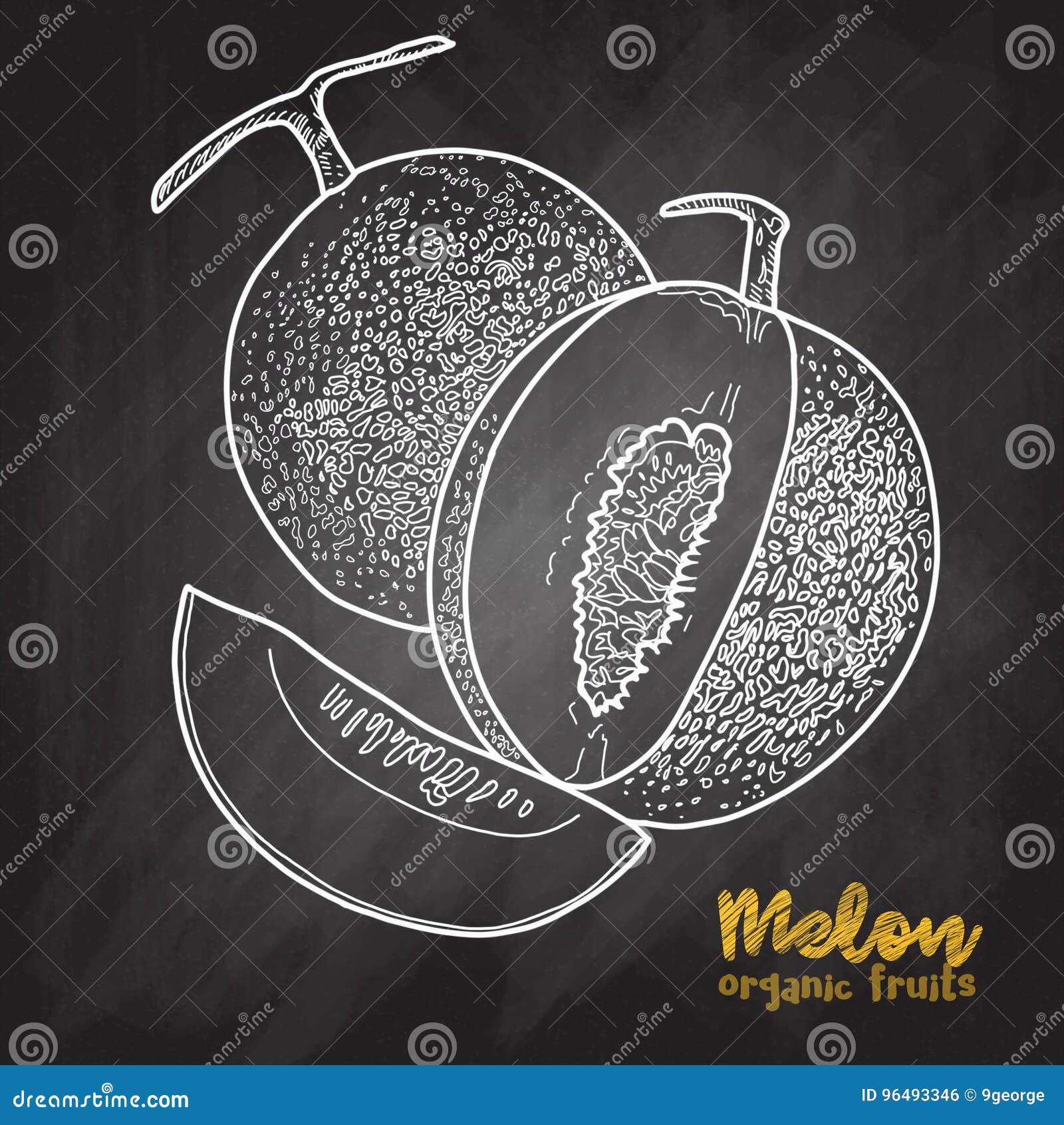 Hand Drawn Sketch Style Melon Composition Isolated on Background Stock ...