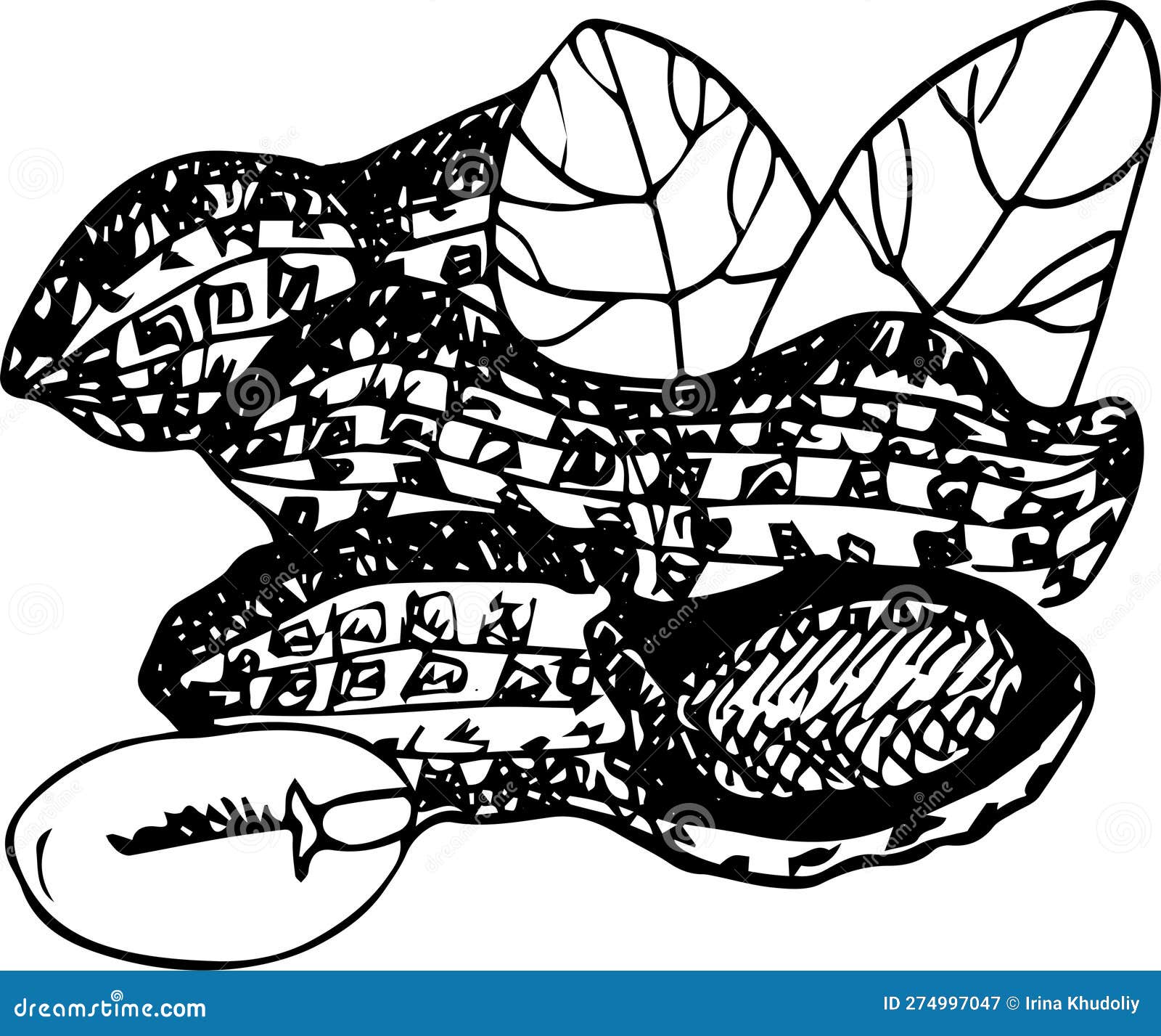 Ink Sketch Of Peanuts Cartoon Vector | CartoonDealer.com #91477161