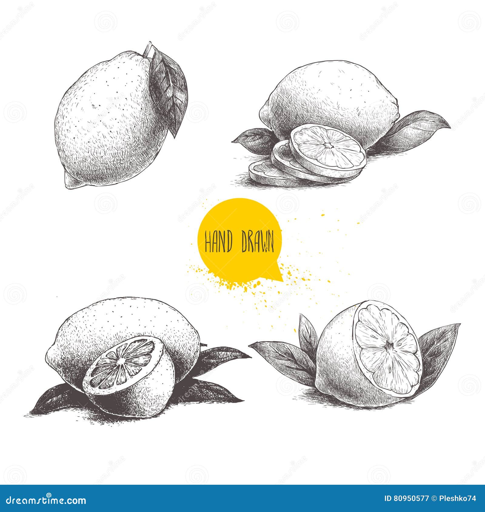 Hand Drawn Sketch Style Set of Lemon Fruit with Leafs and Sliced Lemon ...