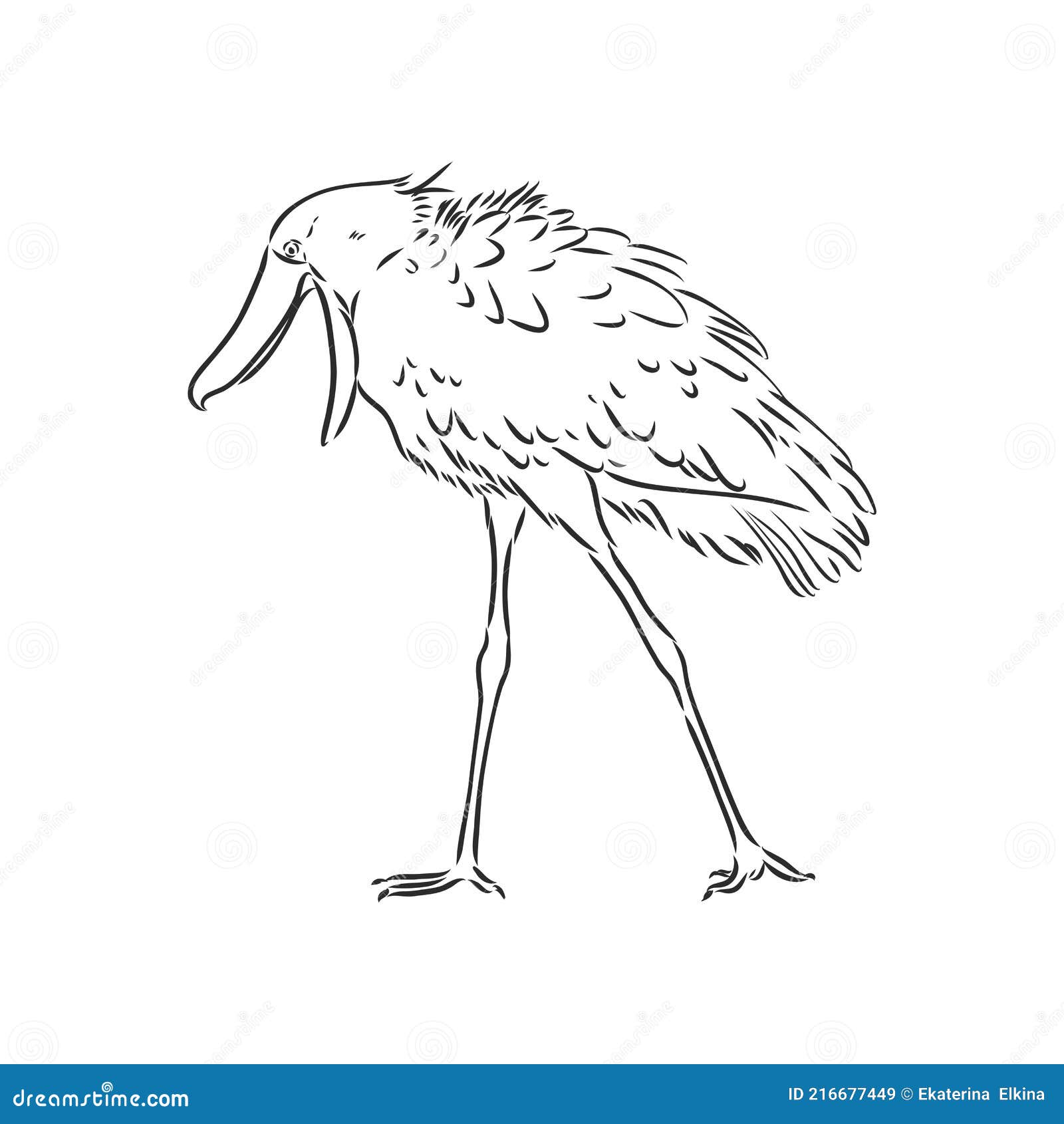 Hand Drawn Sketch Style Shoebill. Vector Illustration Isolated On White ...