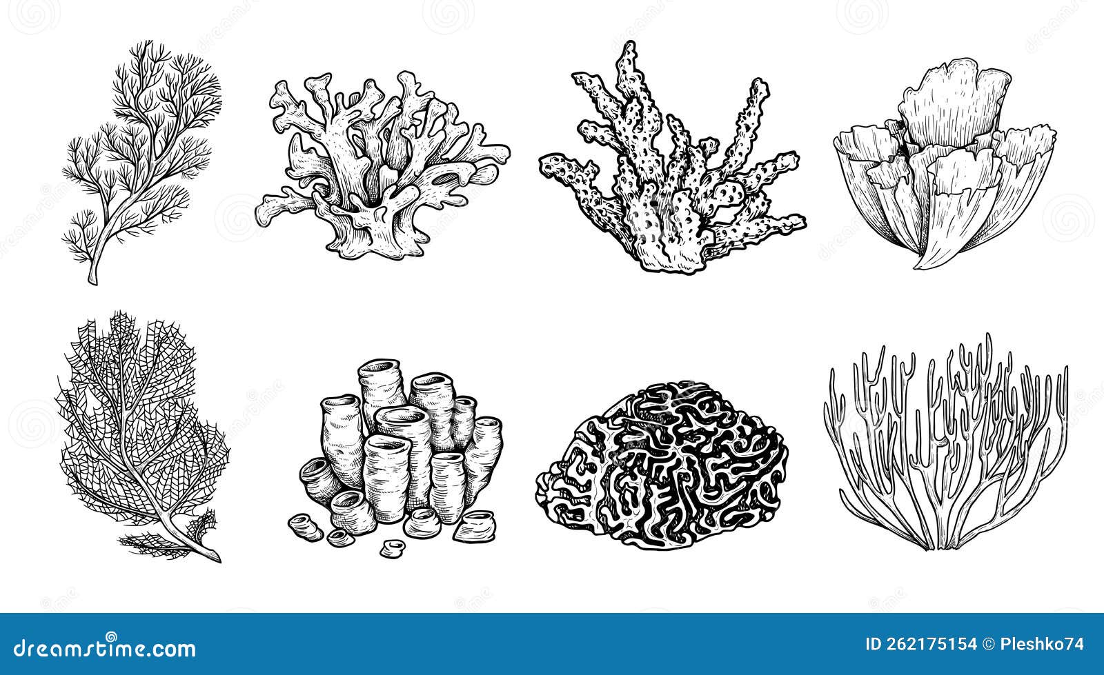 Hand Drawn Sketch Style Various Corals Set. Tropical Reef Elements ...