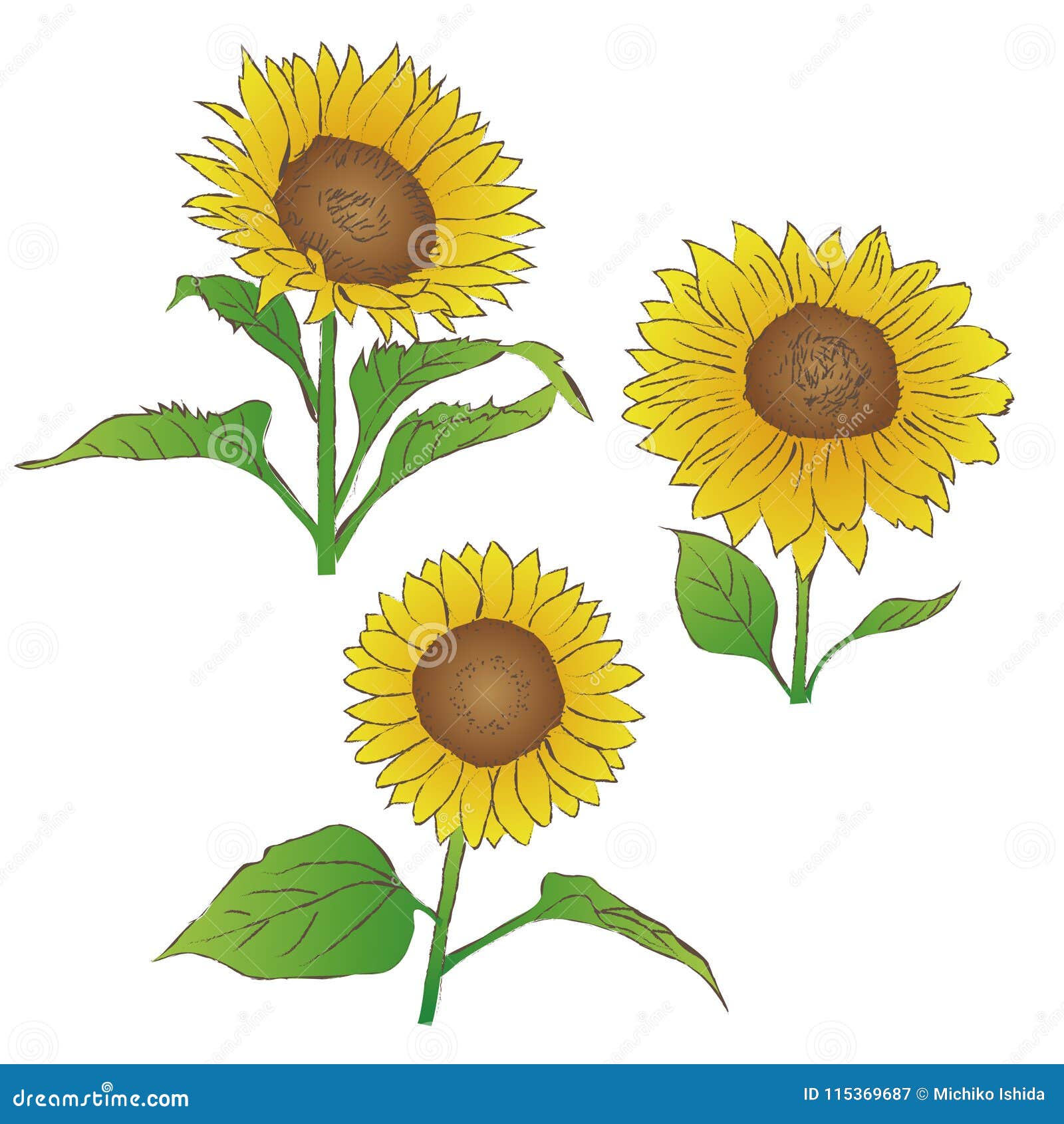 Hand Drawn Sketch Sunflowers Stock Vector Illustration Of Seasonal