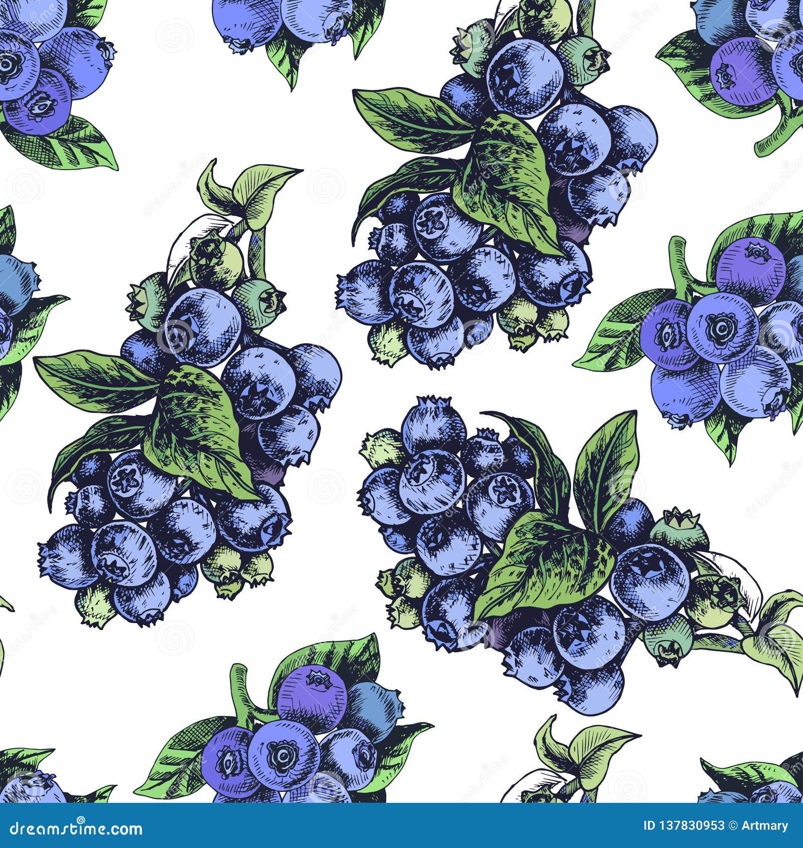 Hand Drawn Sketch Vector Iilustration Bilberry. Pattern with Bilberry ...