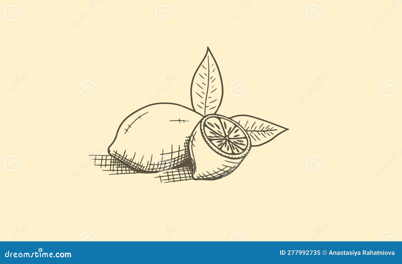 Hand Drawn Sketch Vector Illustration of a Lemon Stock Vector ...