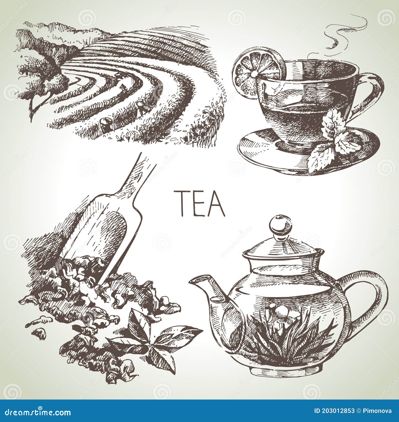 Hand Drawn Sketch Vector Tea Set Stock Vector - Illustration of doodle ...