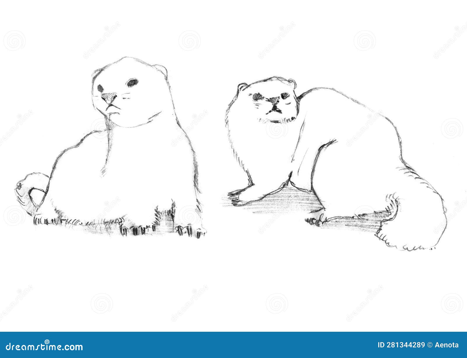 Hand Drawn Sketch Of White Ferret Royalty-Free Stock Photography ...