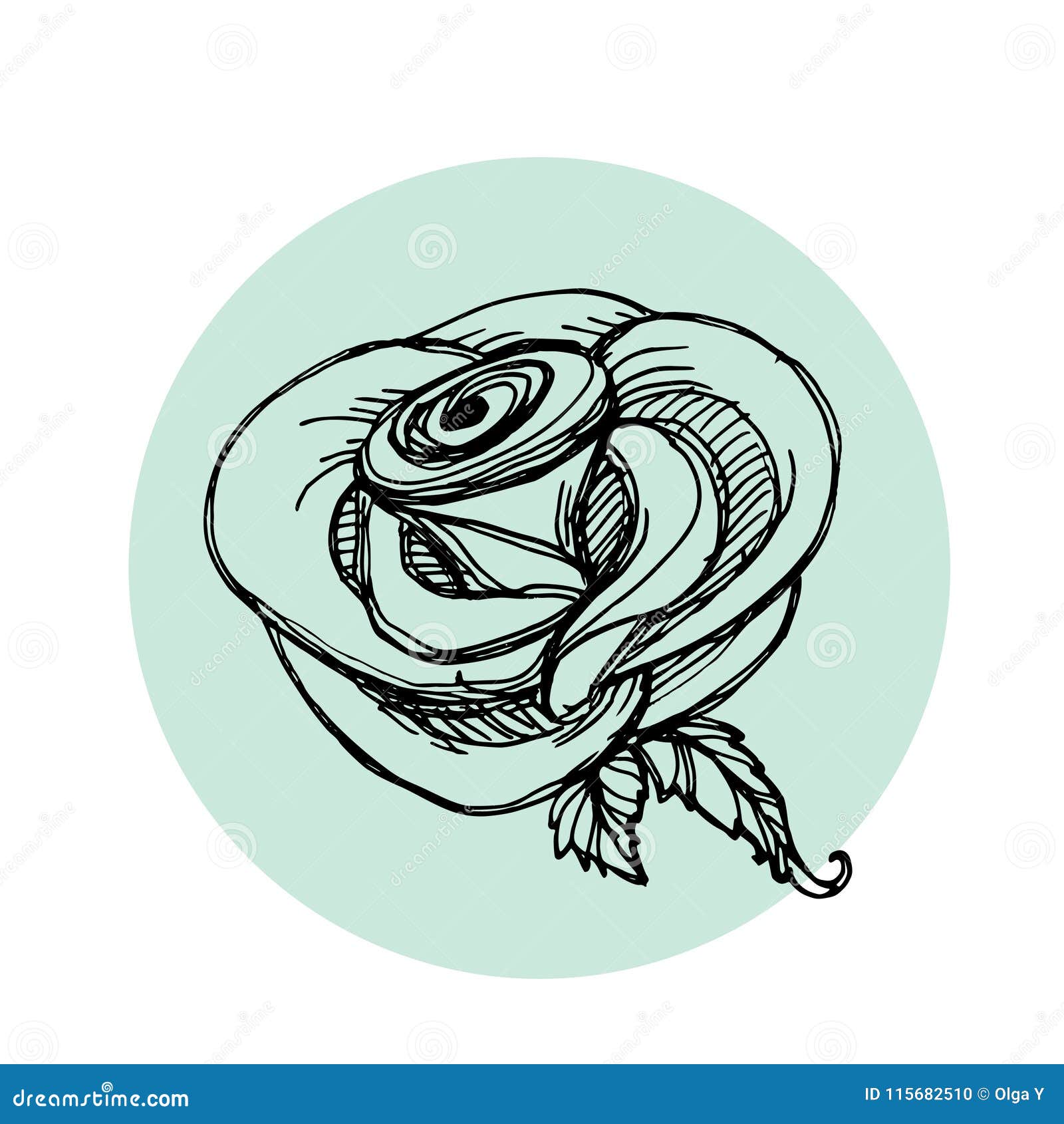 Hand Drawn Sketched Roses. Black and White Graphics Stock Illustration ...