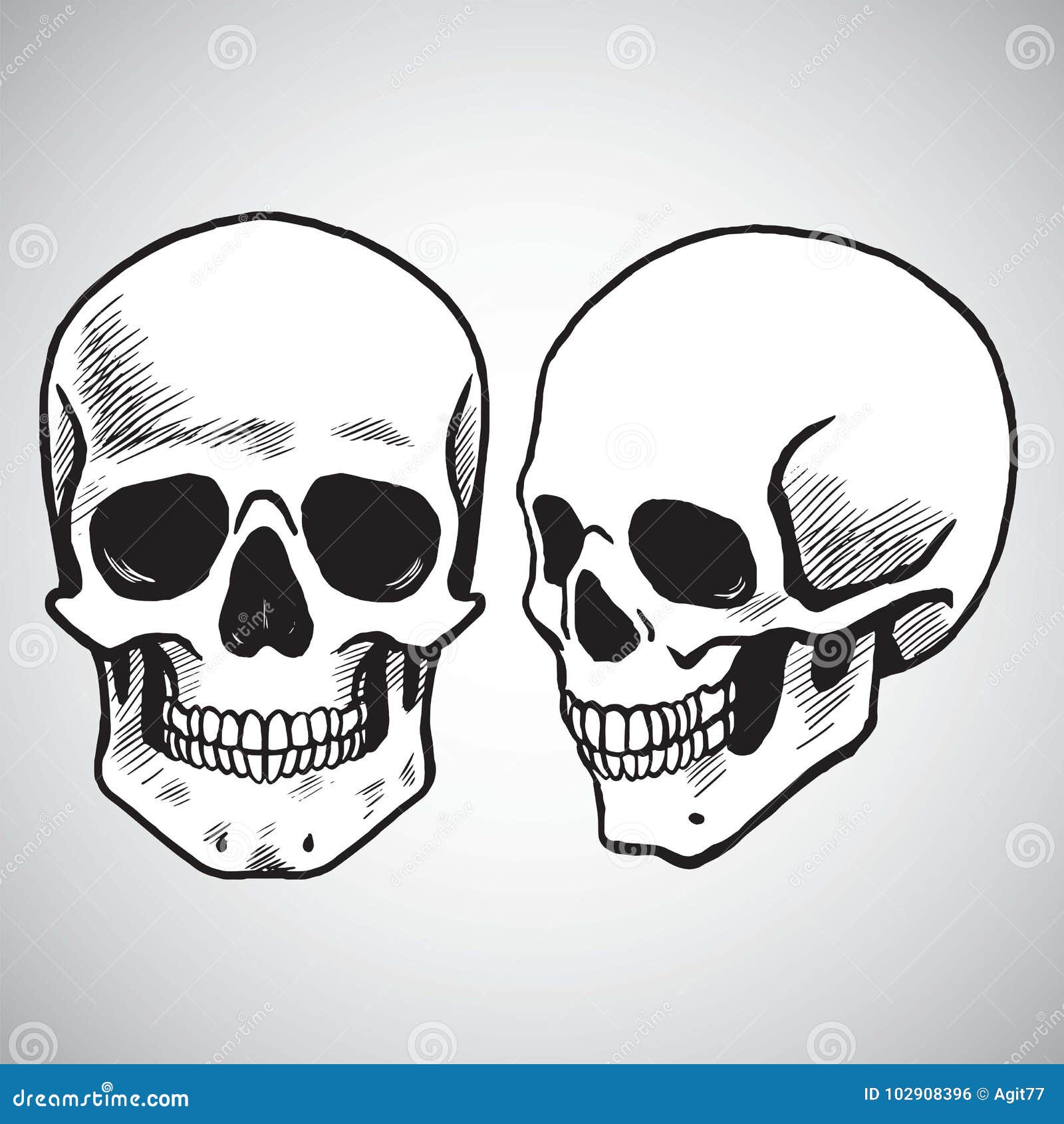Hand Drawn Skull Set stock vector. Illustration of head - 102908396