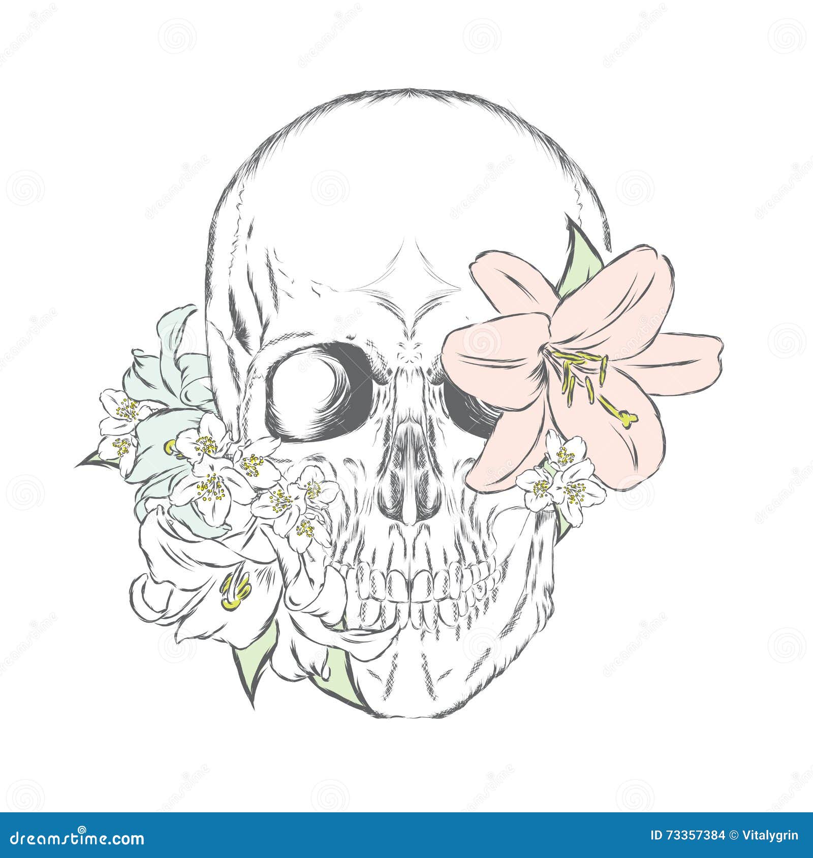 Hand-drawn Skull. Skull and Flowers. Vector Illustration. Stock Vector ...