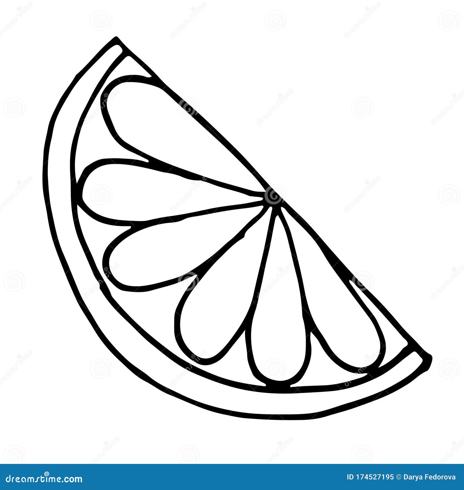 Hand Drawn Slice of Orange Vector Illustration Stock Illustration ...