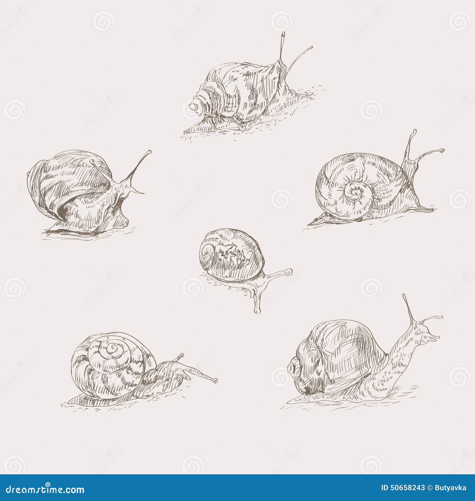 Hand drawn snails vector stock vector. Illustration of wildlife - 50658243