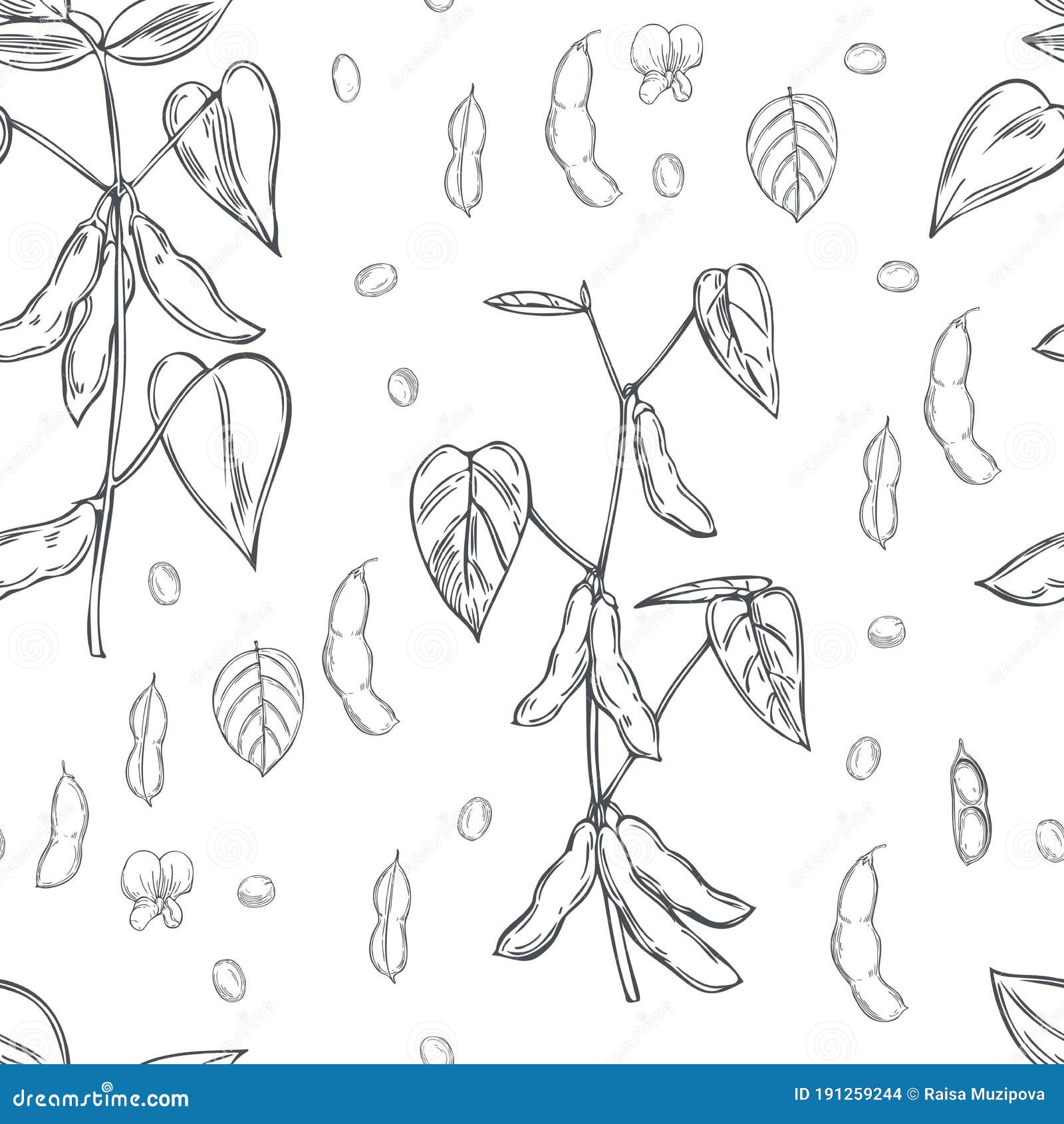 Soybean Plant. Vector Seamless Pattern Stock Vector - Illustration of ...