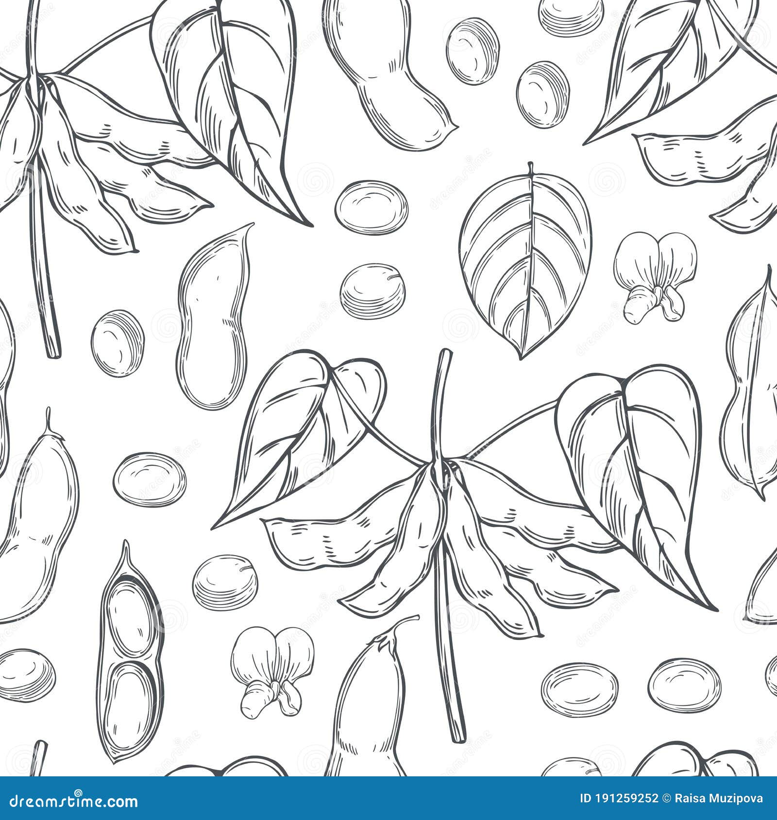 Soybean Plant . Vector Seamless Pattern Stock Vector - Illustration of ...