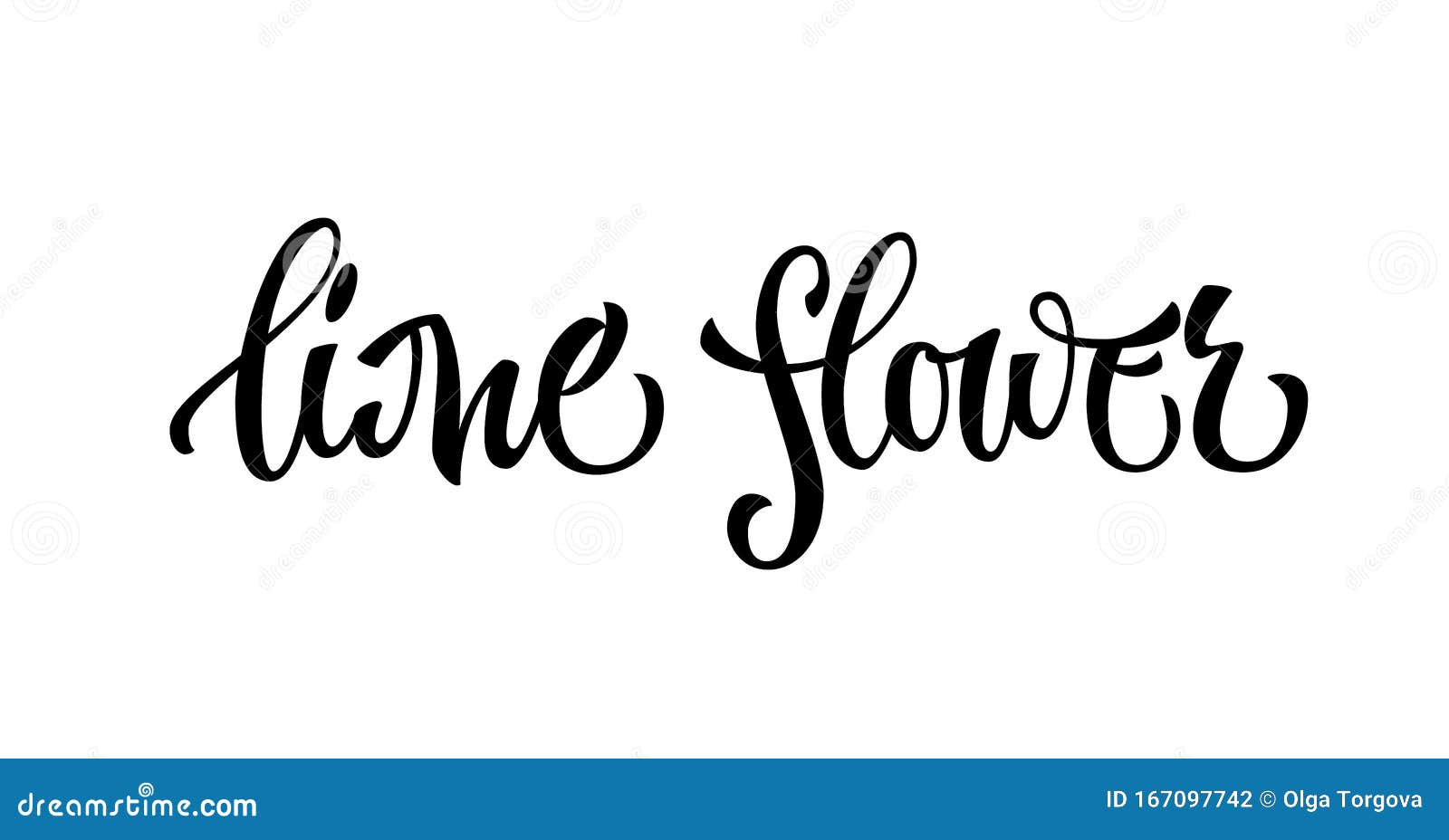 Hand Drawn Spice Label - Lime Flower. Stock Vector - Illustration of ...