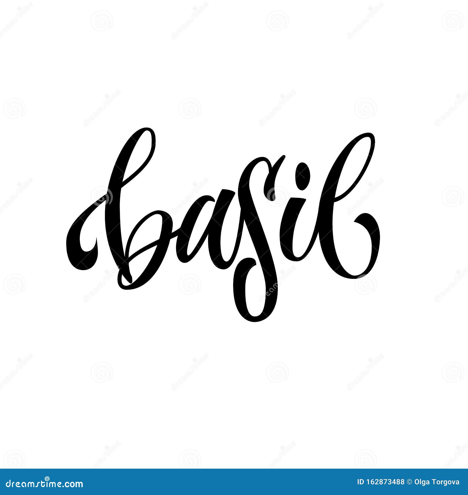 Hand Drawn Spice Lettering - Basil. Stock Vector - Illustration of ...