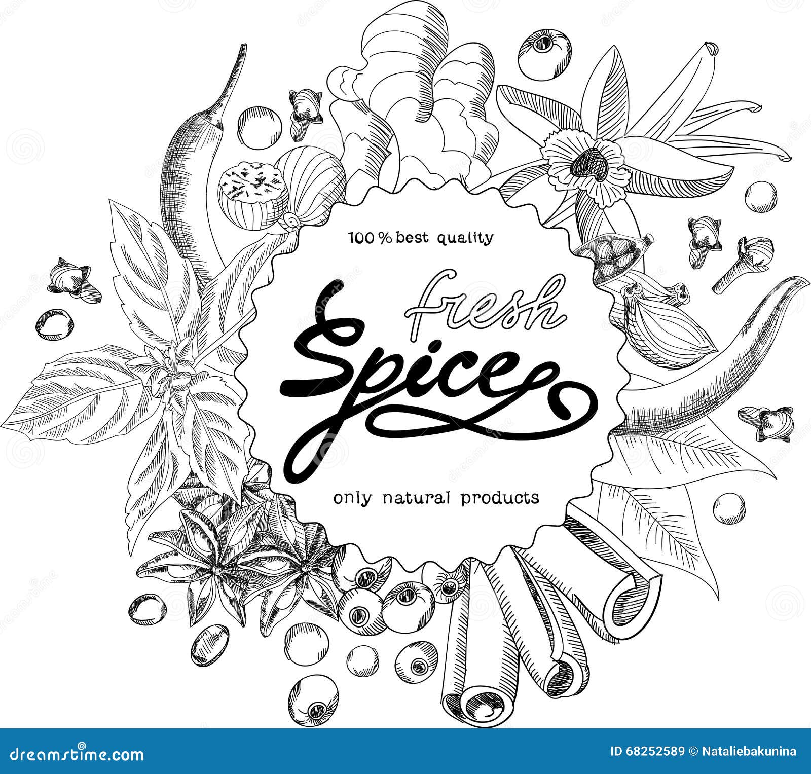 Hand drawn spices design. stock vector. Illustration of green - 68252589