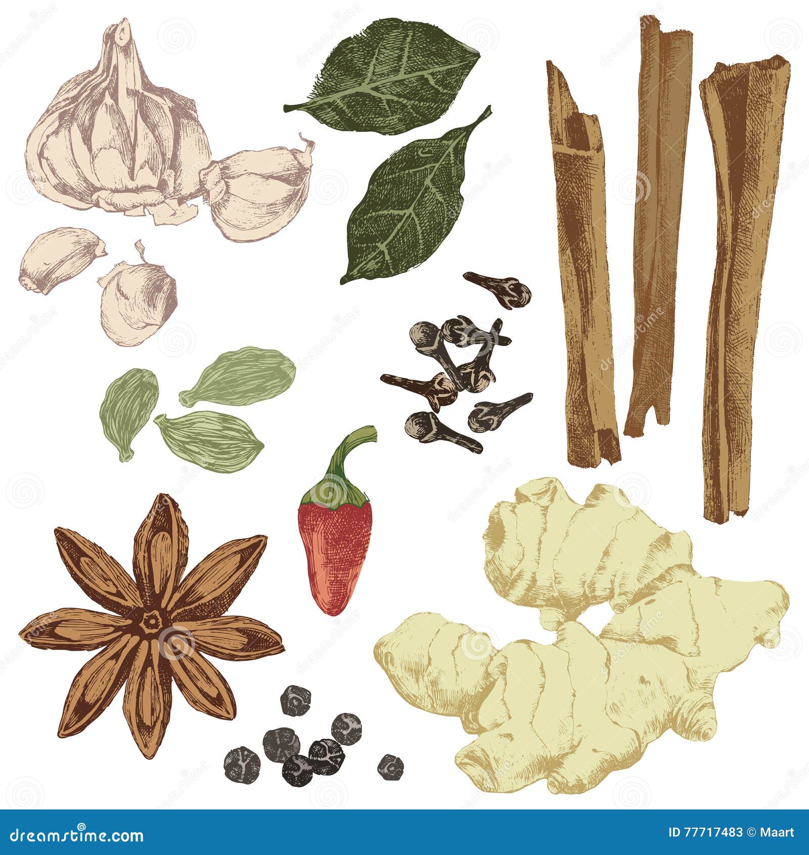 Hand drawn spices set stock vector. Illustration of food - 77717483