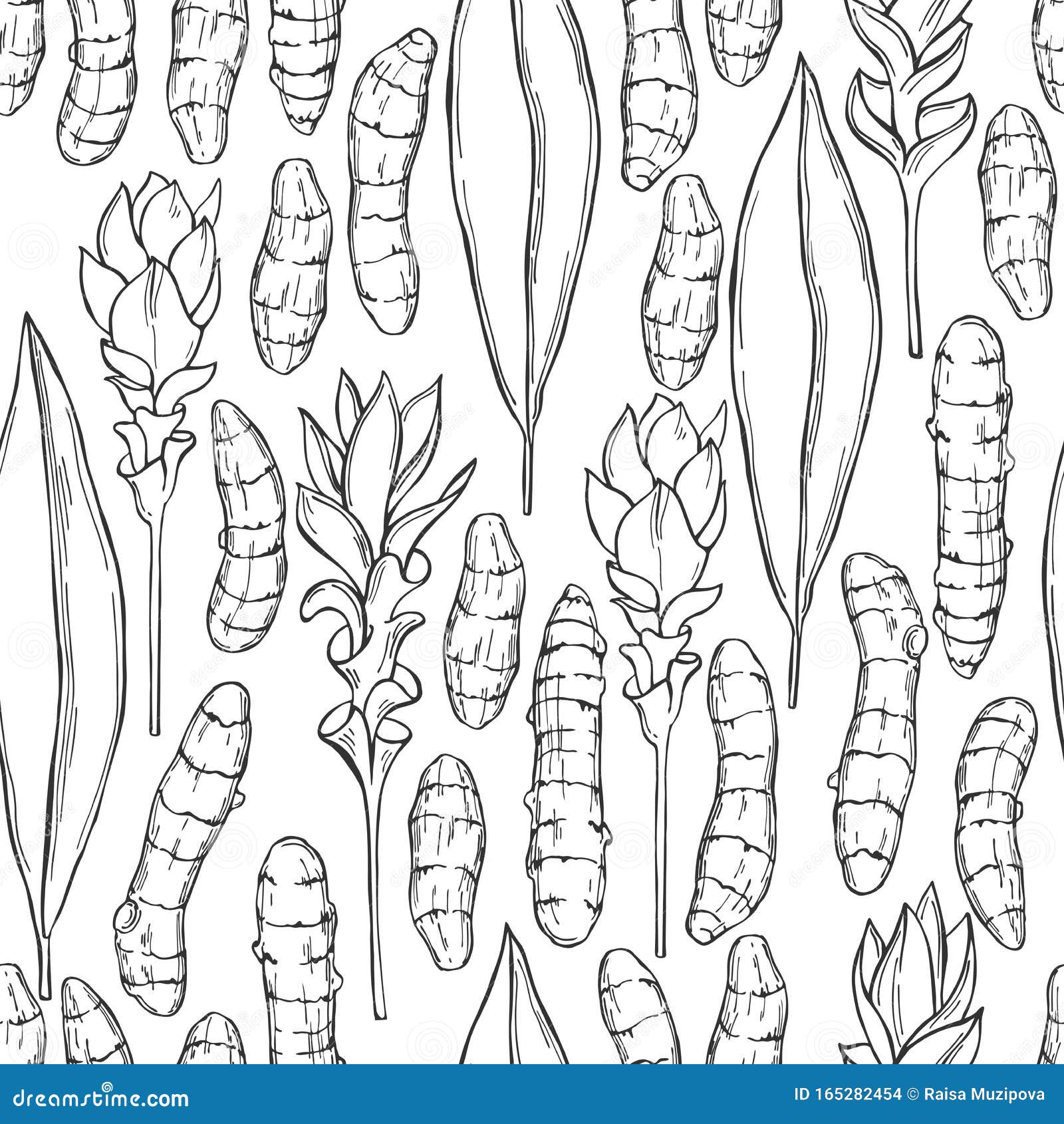 Hand Drawn Spice Turmeric. Vector Pattern. Stock Vector - Illustration ...