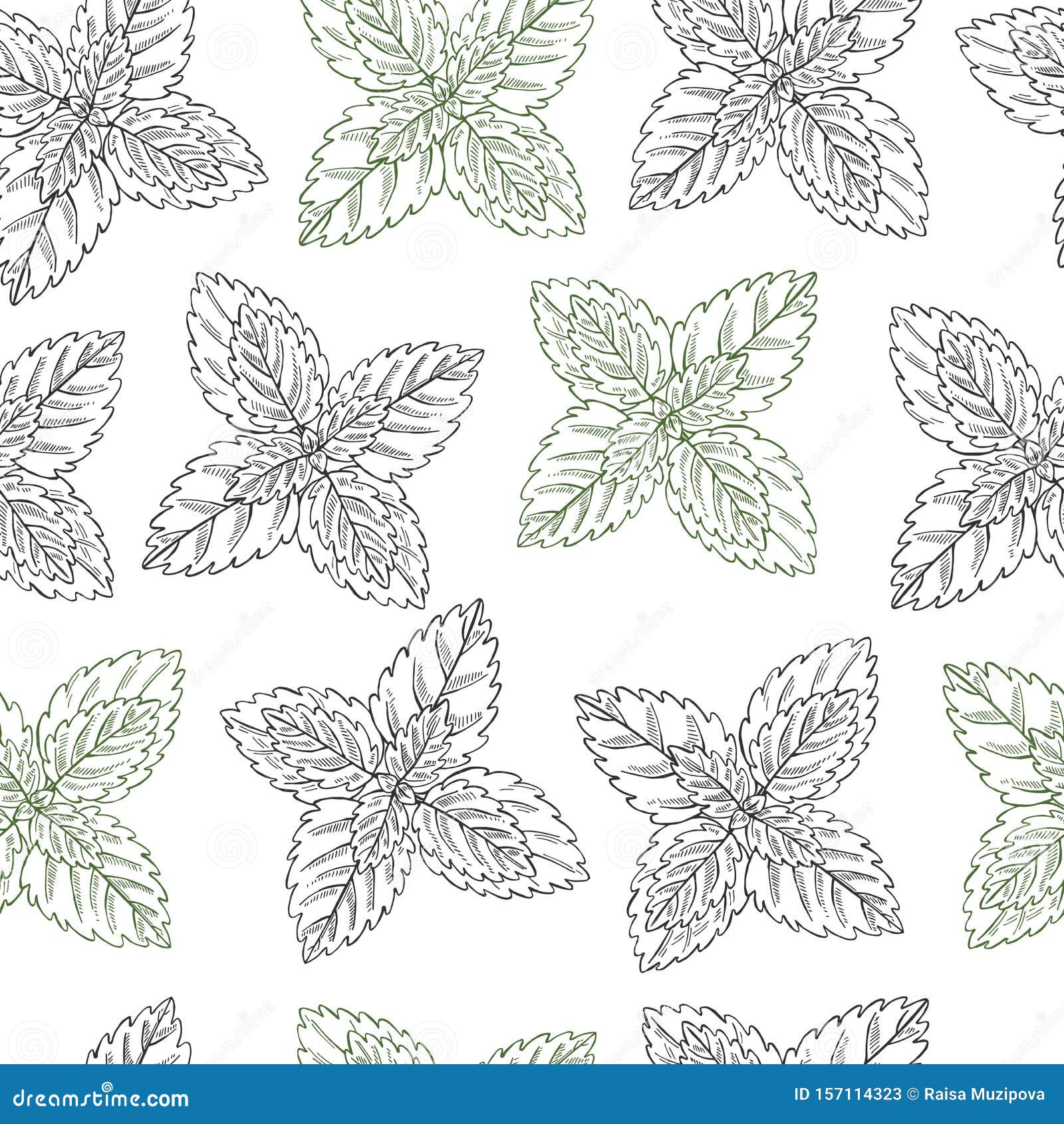 Hand Drawn Spicy Herbs.Peppermint. Vector Seamless Pattern Stock Vector ...