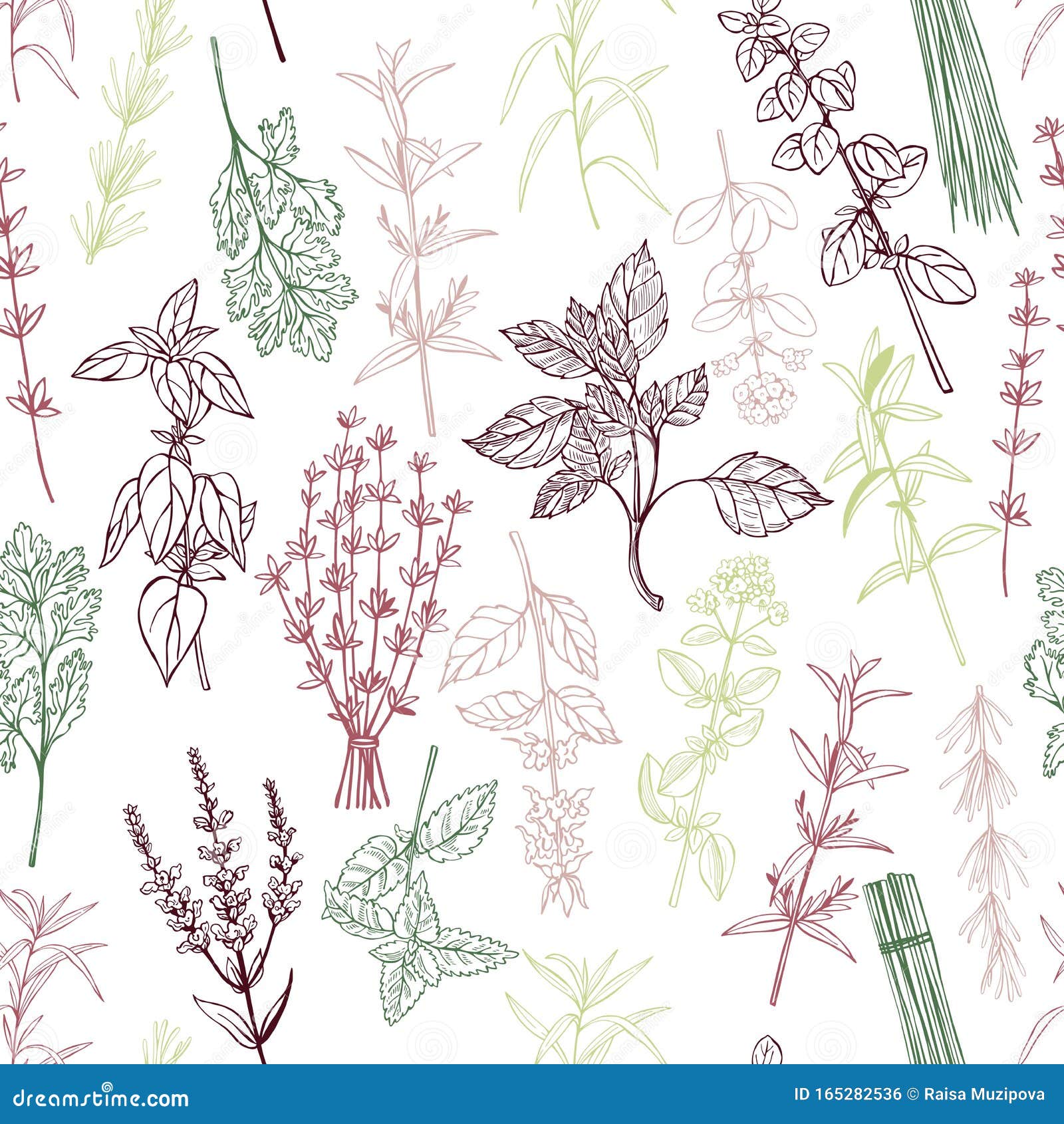 Hand Drawn Spicy Herbs. Vector Seamless Pattern Stock Vector ... Hand Drawn Spicy Herbs. Vector Seamless Pattern Stock Vector ...