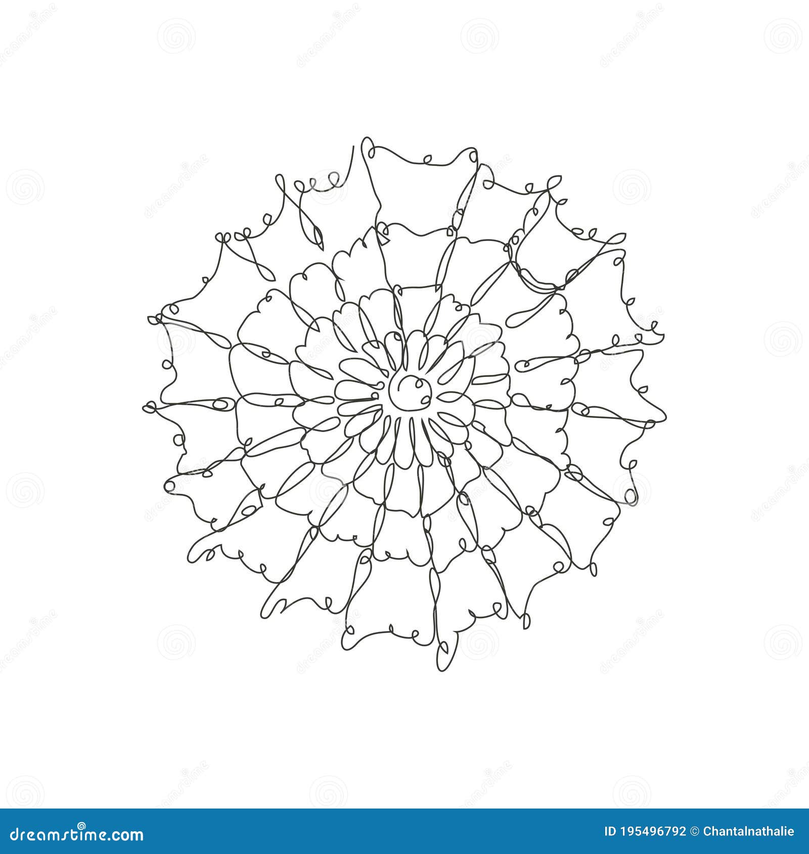 Hand Drawn Spider Web Continuous Line Stock Vector - Illustration of ...