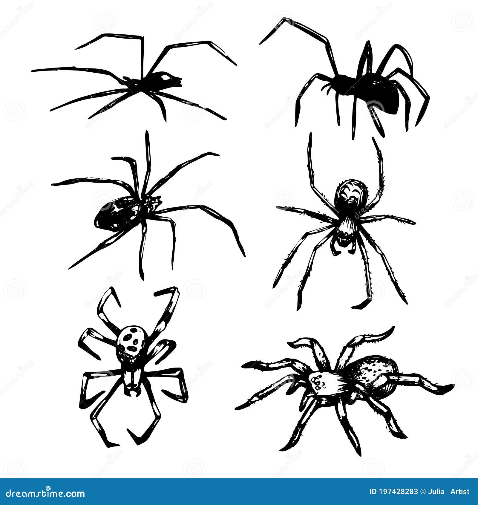 Hand Drawn Spiders. Halloween Decoration Set Stock Vector ...