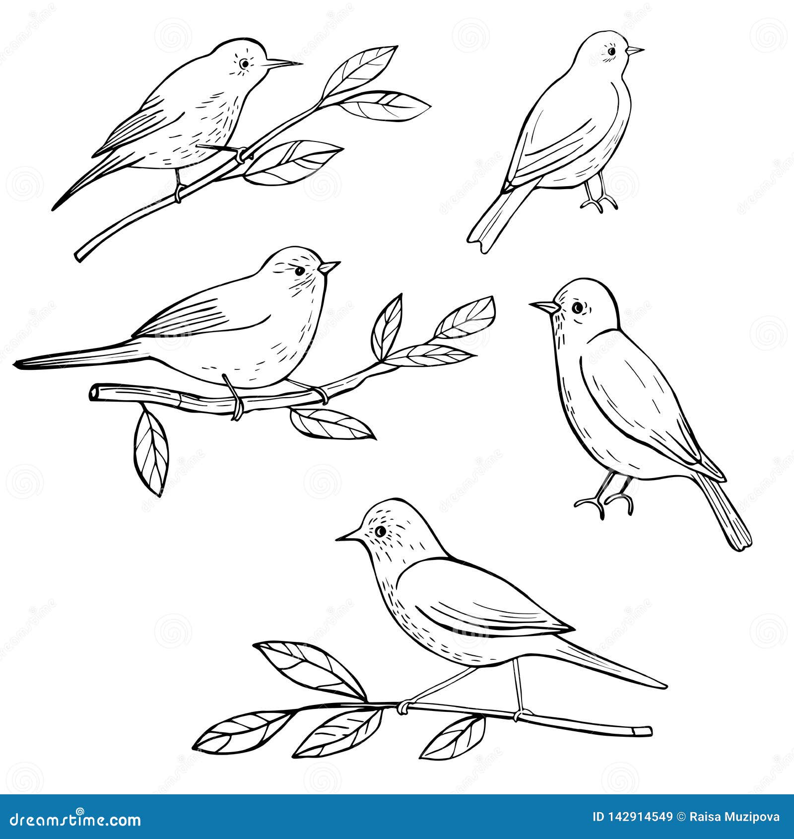 Hand Drawn Spring Birds. Vector Sketch Illustration Stock Vector ...