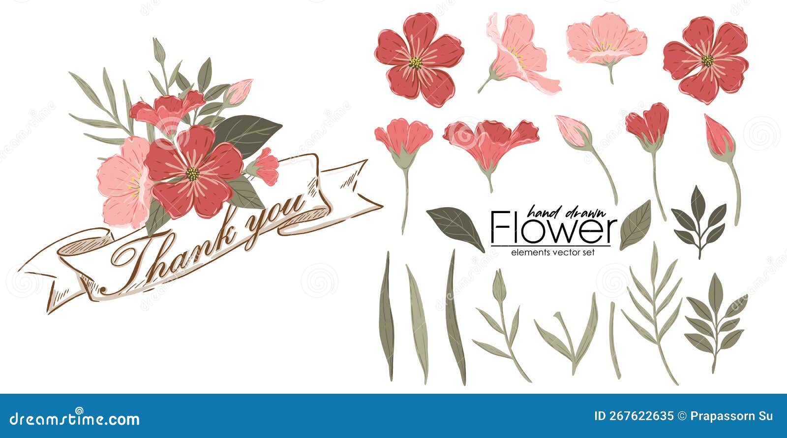 Hand Drawn Spring Flower Vector Set Stock Vector - Illustration of twig ...