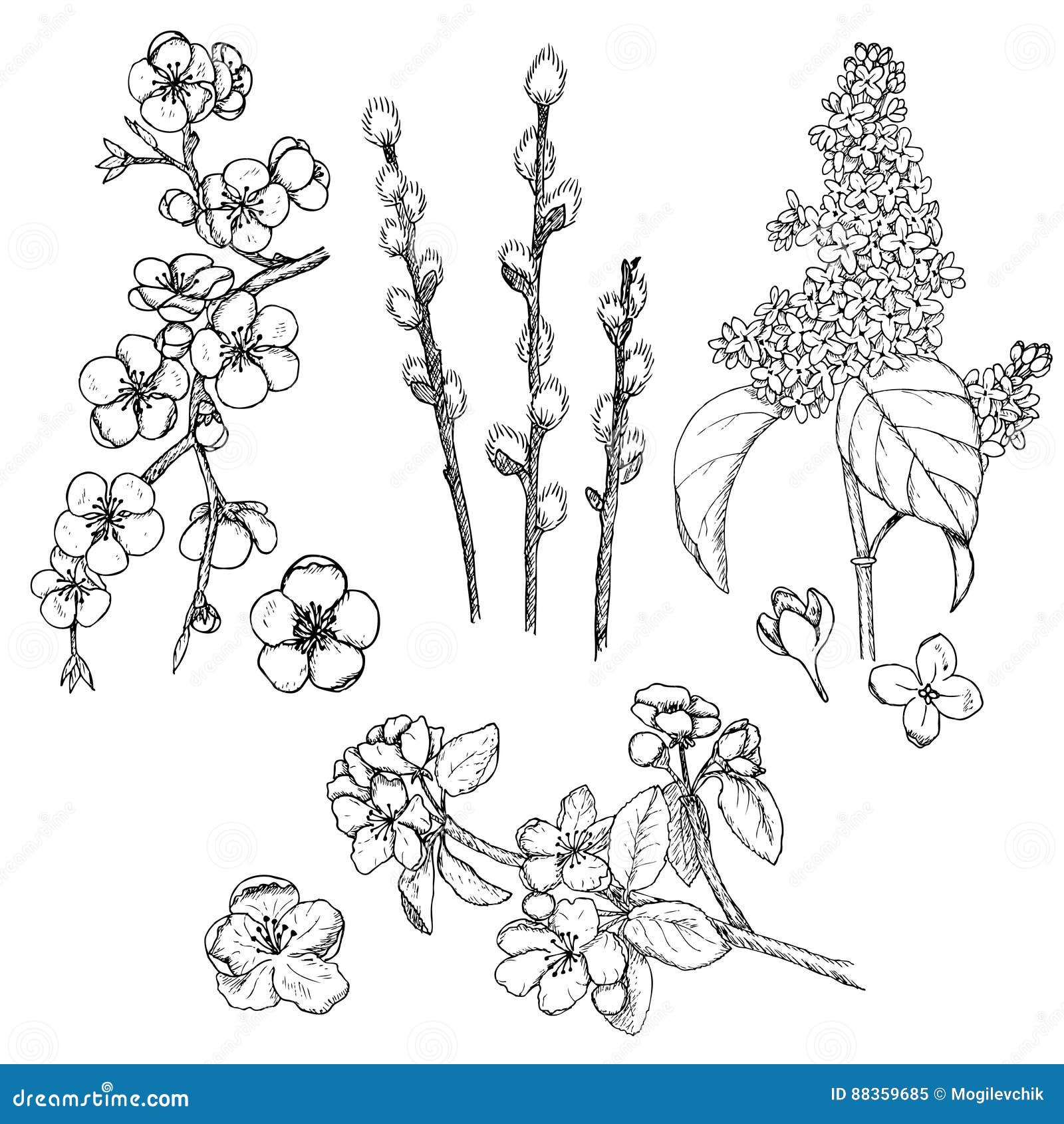 Hand Drawn Spring Natural Collection Stock Vector - Illustration of ...