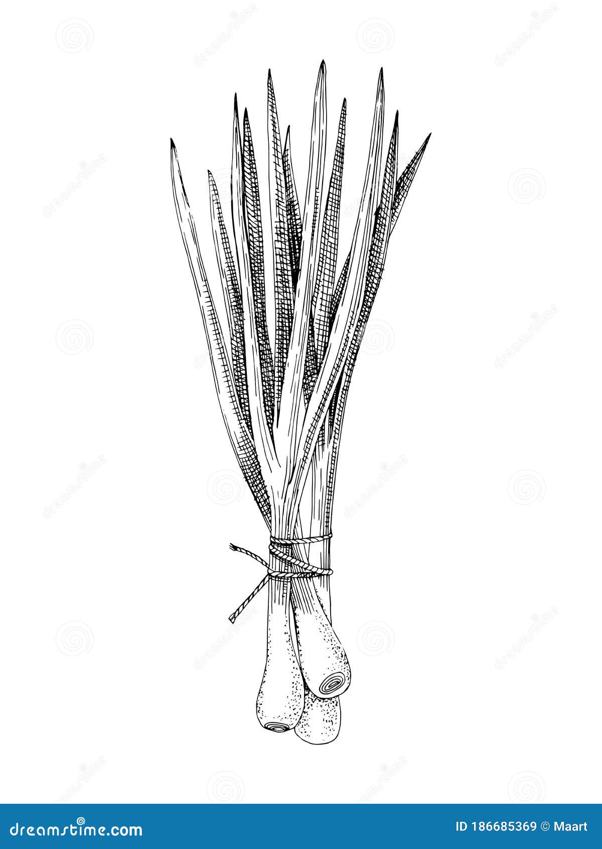 Vegetables Sketched Doodles On Chalkboard Cartoon Vector ...