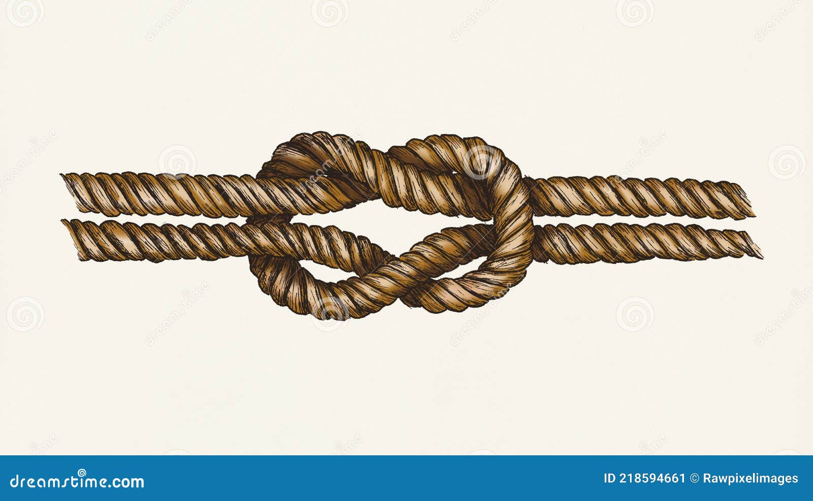 Square Knot. Flat Knot. Reef Knot. Clove Hitch. White Ropes On Golden ...