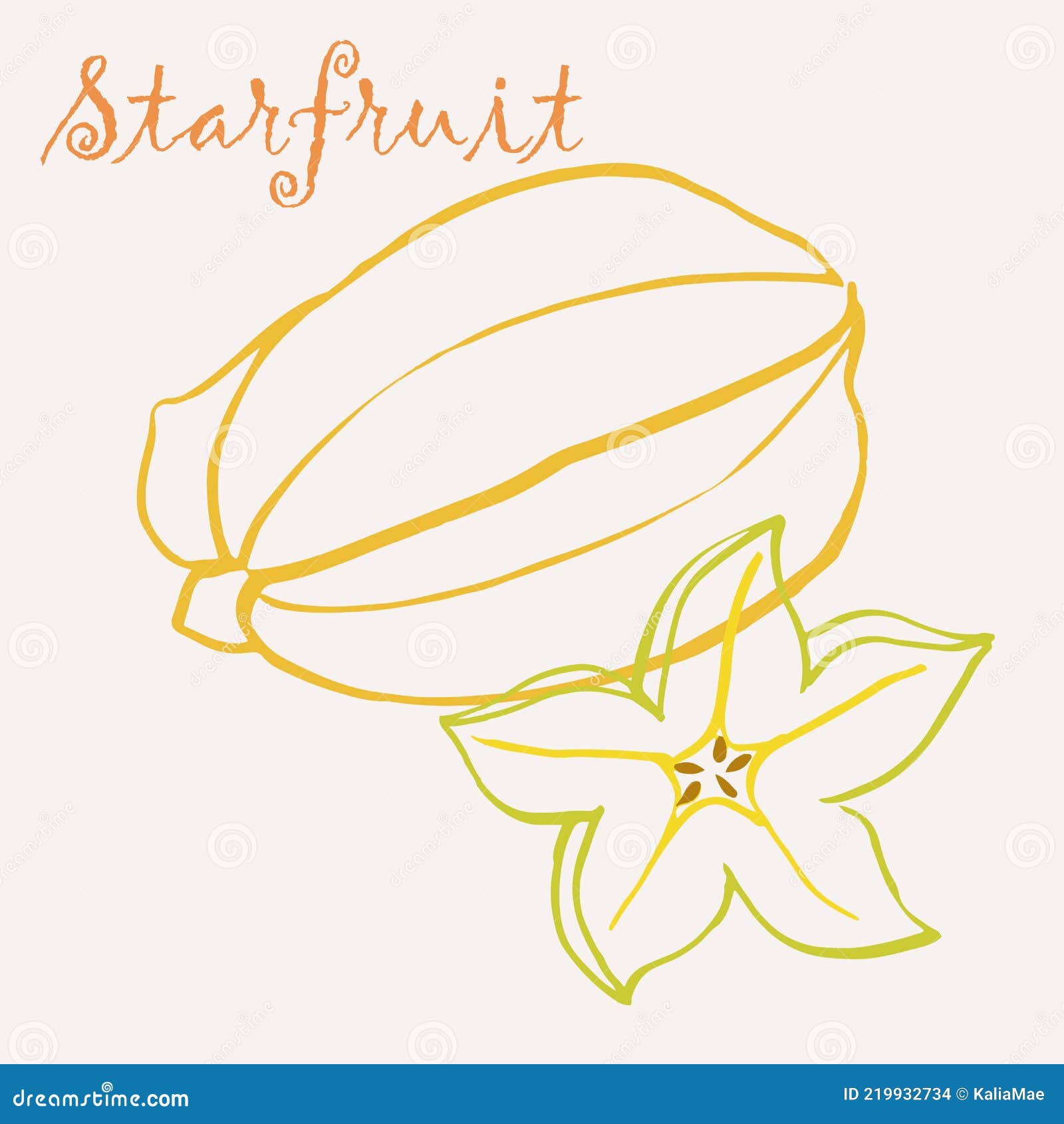 Hand Drawn Star Fruit Multicolor Line Art Vector Illustration. Colorful ...