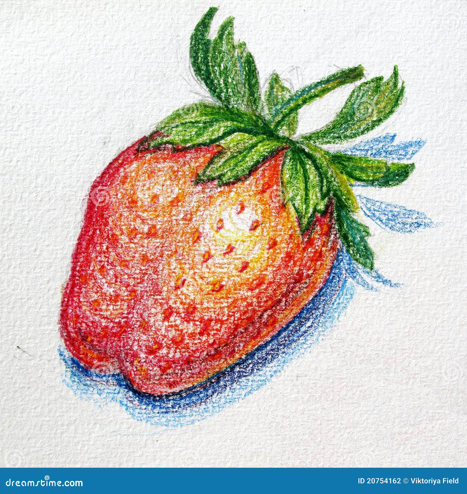 Hand-drawn strawberry stock illustration. Illustration of shadow - 20754162