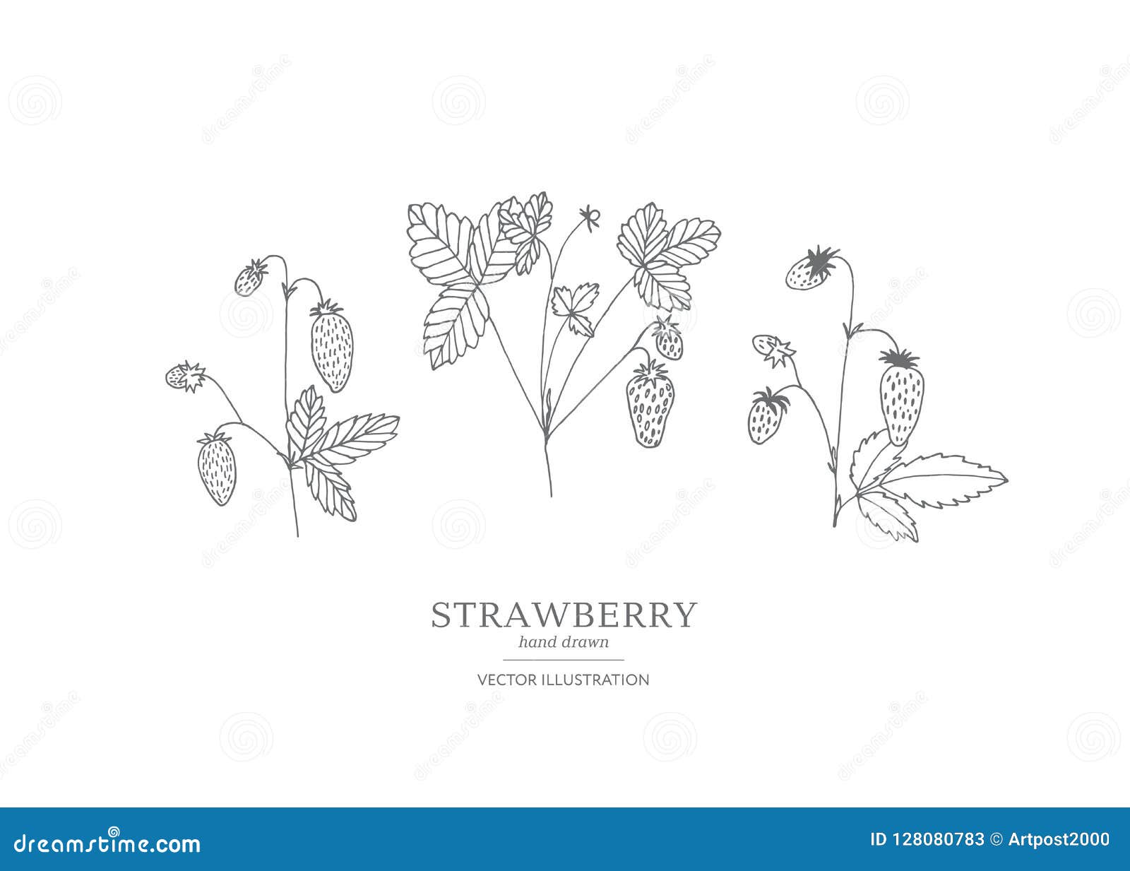 Hand drawn strawberry set. stock vector. Illustration of fruit - 128080783