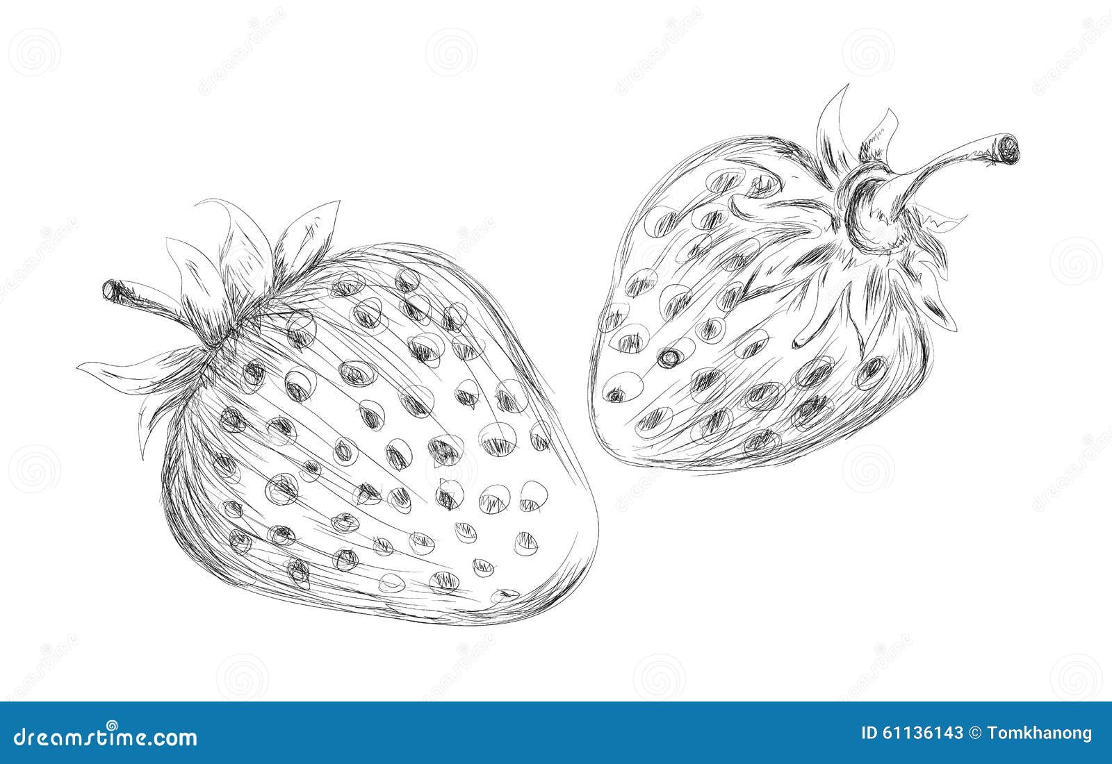 Hand Drawn Strawberry Vector Design Stock Vector - Illustration of ...