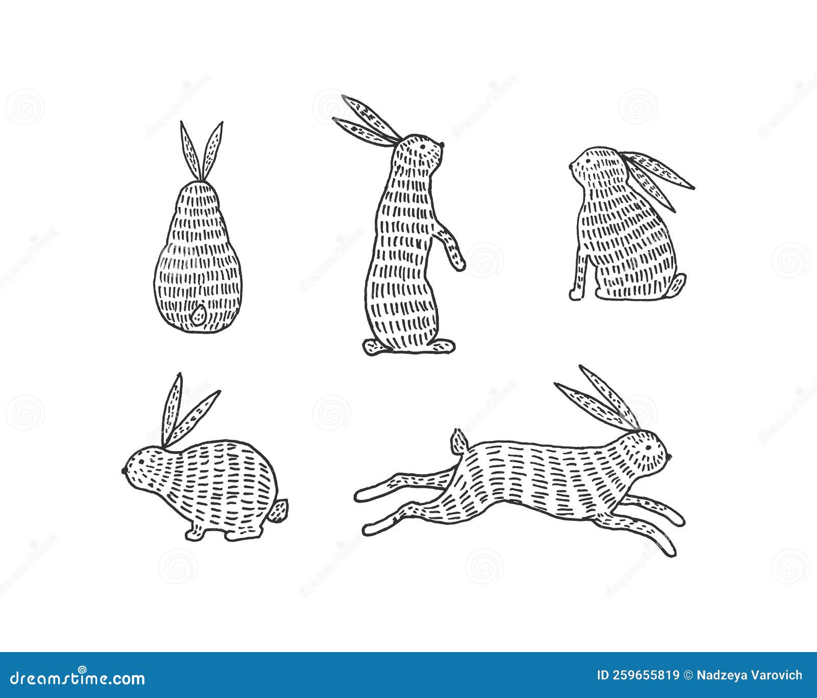 Hand Drawn Style Line Drawing Illustration Set of Rabbit in Various ...