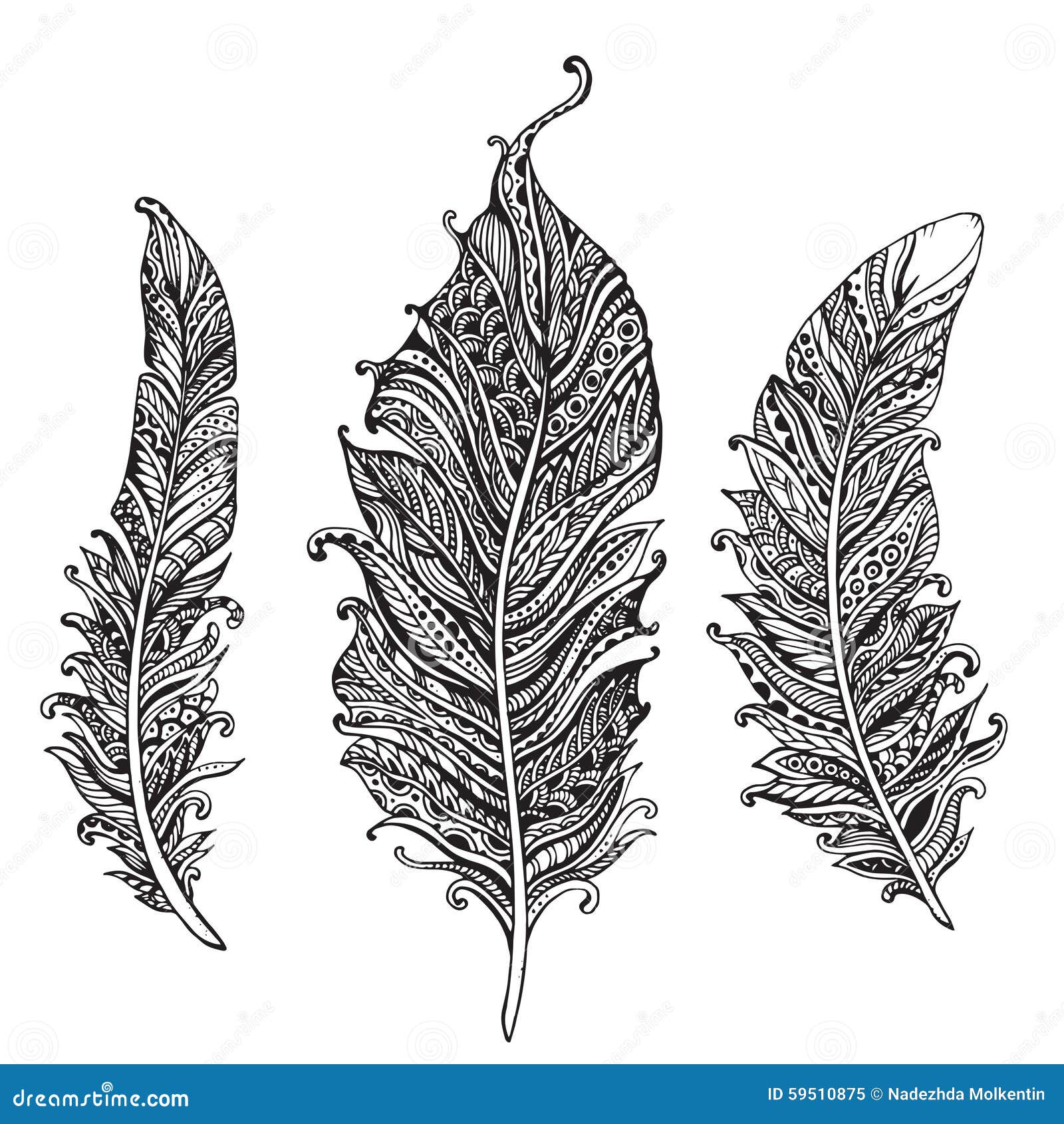 Hand Drawn Stylized Feathers Black and White Vector Collection Stock ...