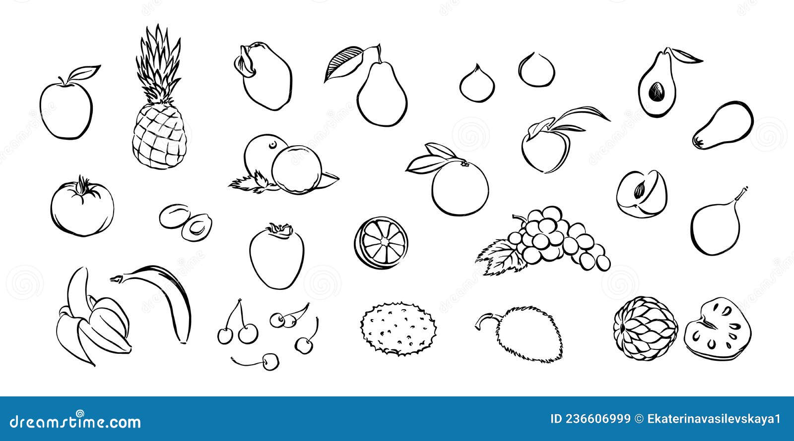 Hand Drawn Stylized Fruit Set. Vector Collection Isolated on White ...