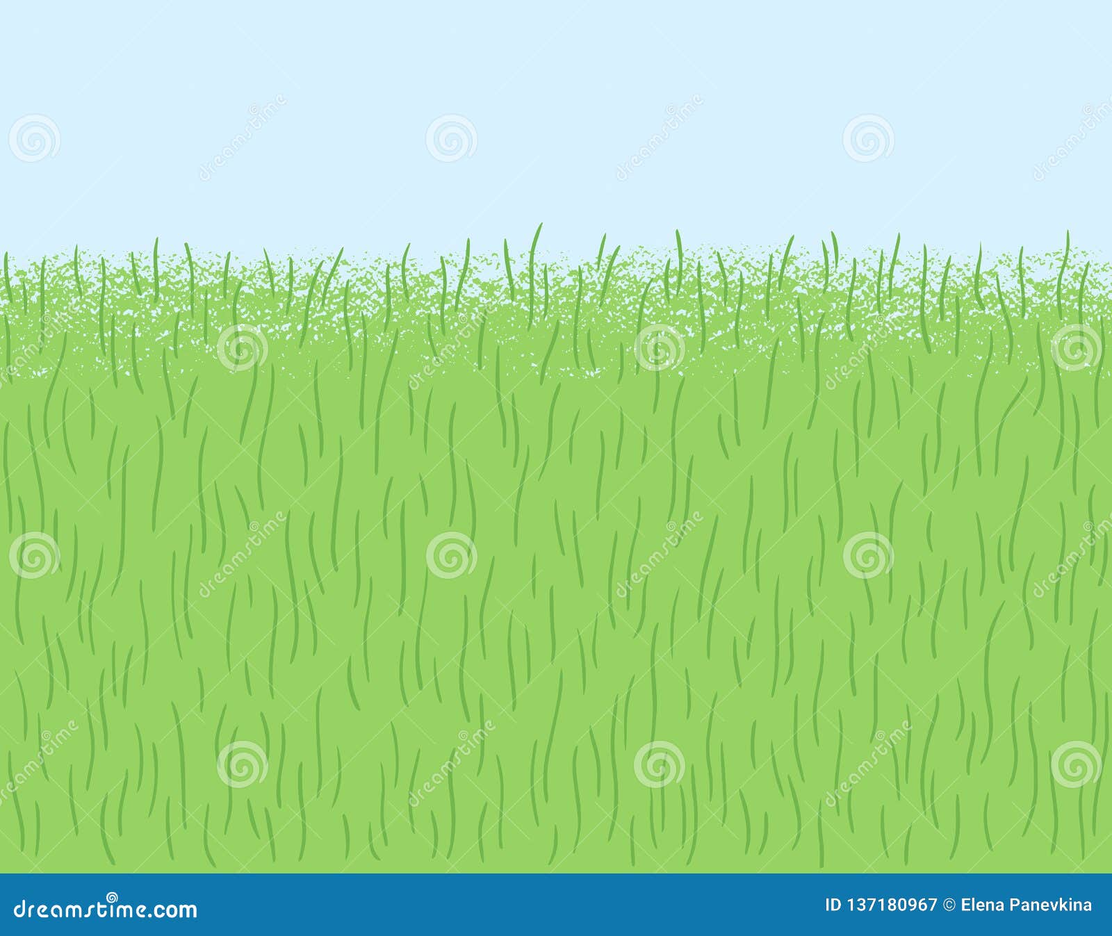 Doodle Grass, Herb Texture, Seamless Lawn Border Stock Vector ...