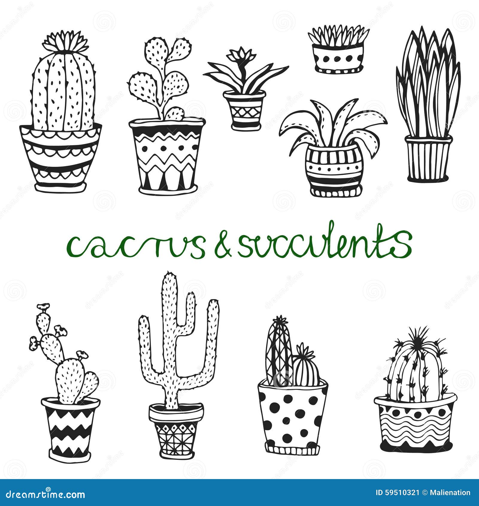Hand Drawn Succulent and Cactuse Set. Doodle Stock Vector ...
