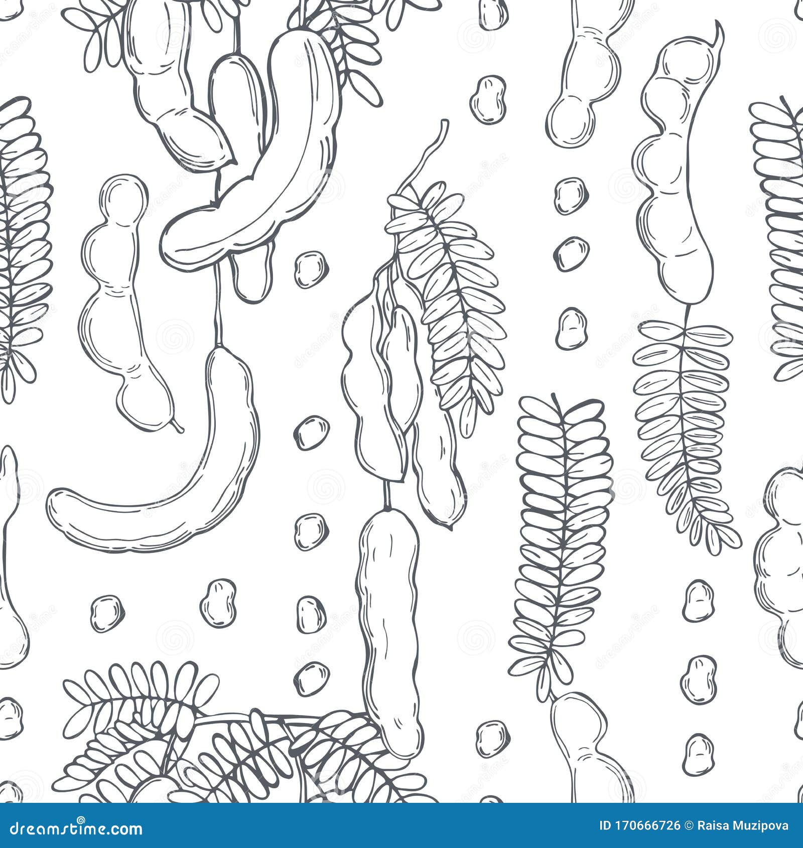 Tamarind Clipart Black And White