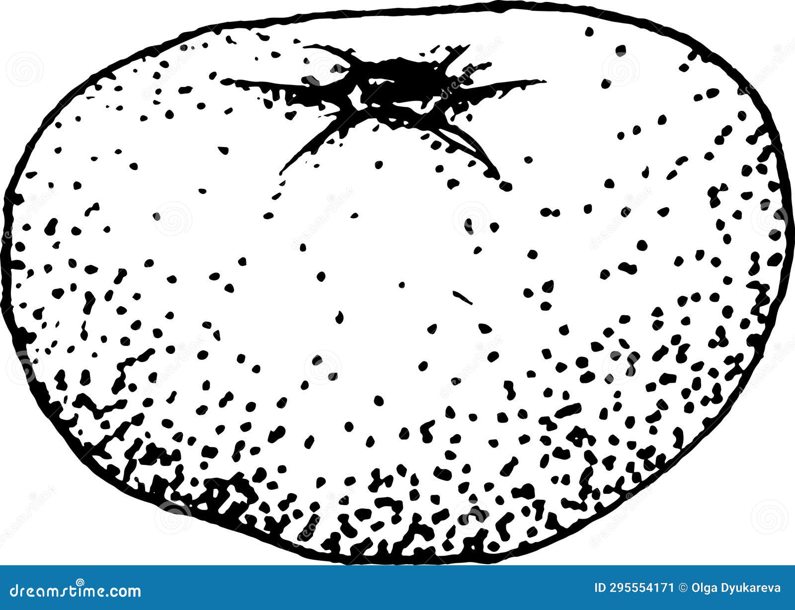 Hand Drawn Tangerine and Slices Vector Illustration Decorative Design ...