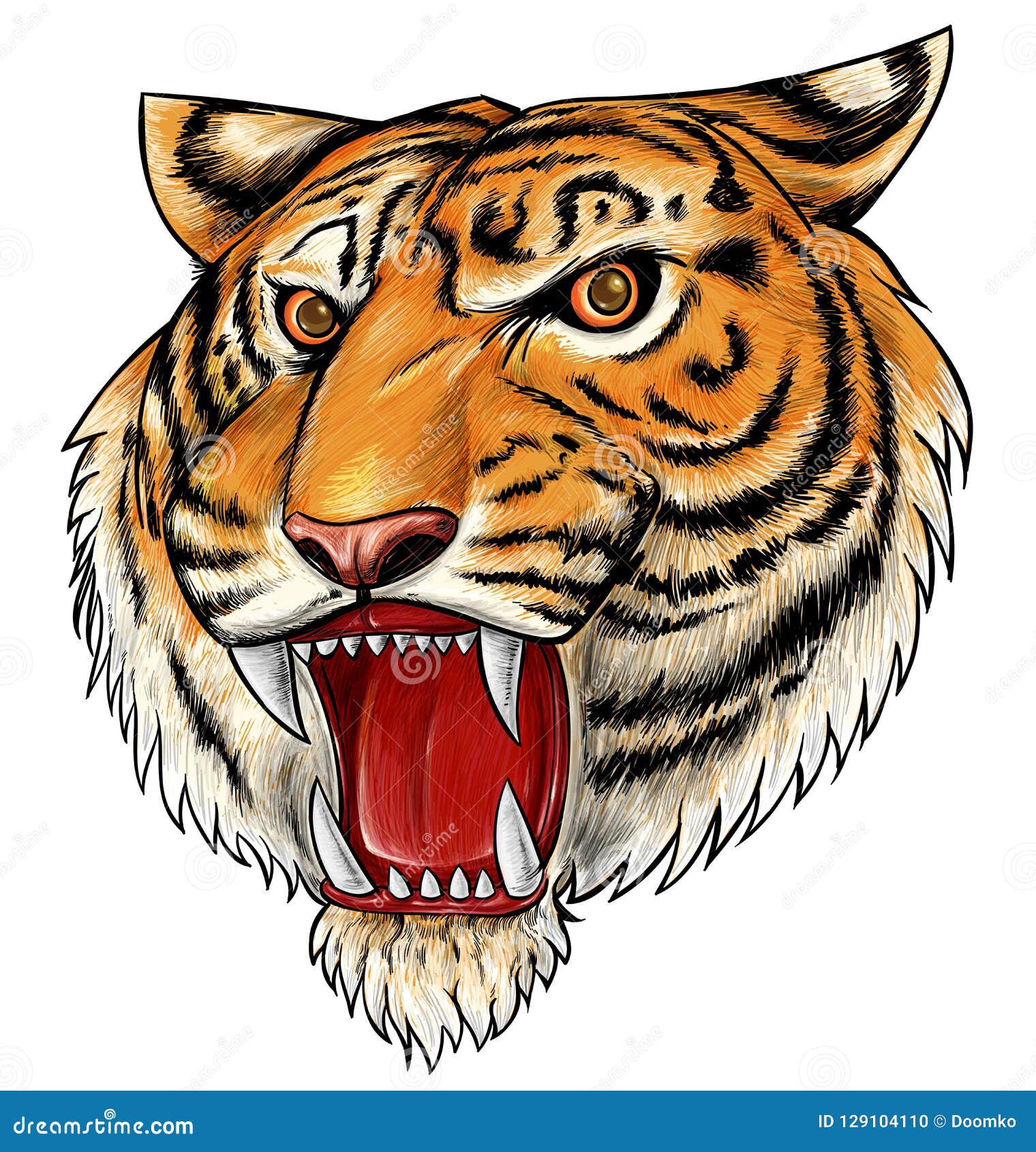 Hand drawn tiger isolated stock vector. Illustration of hand - 129104110